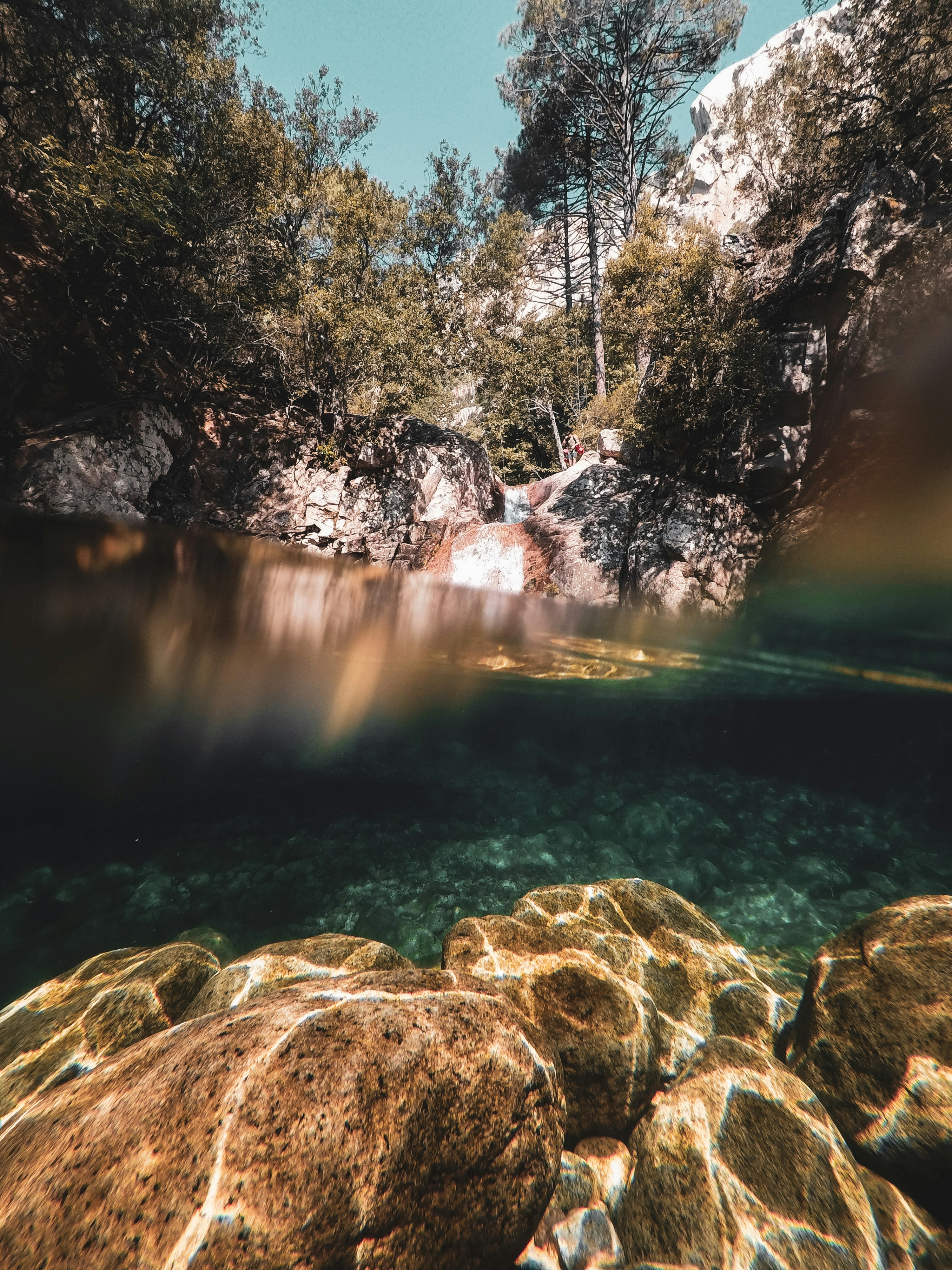Split view of rocky streambed and lush forest, captured at the water's edge.