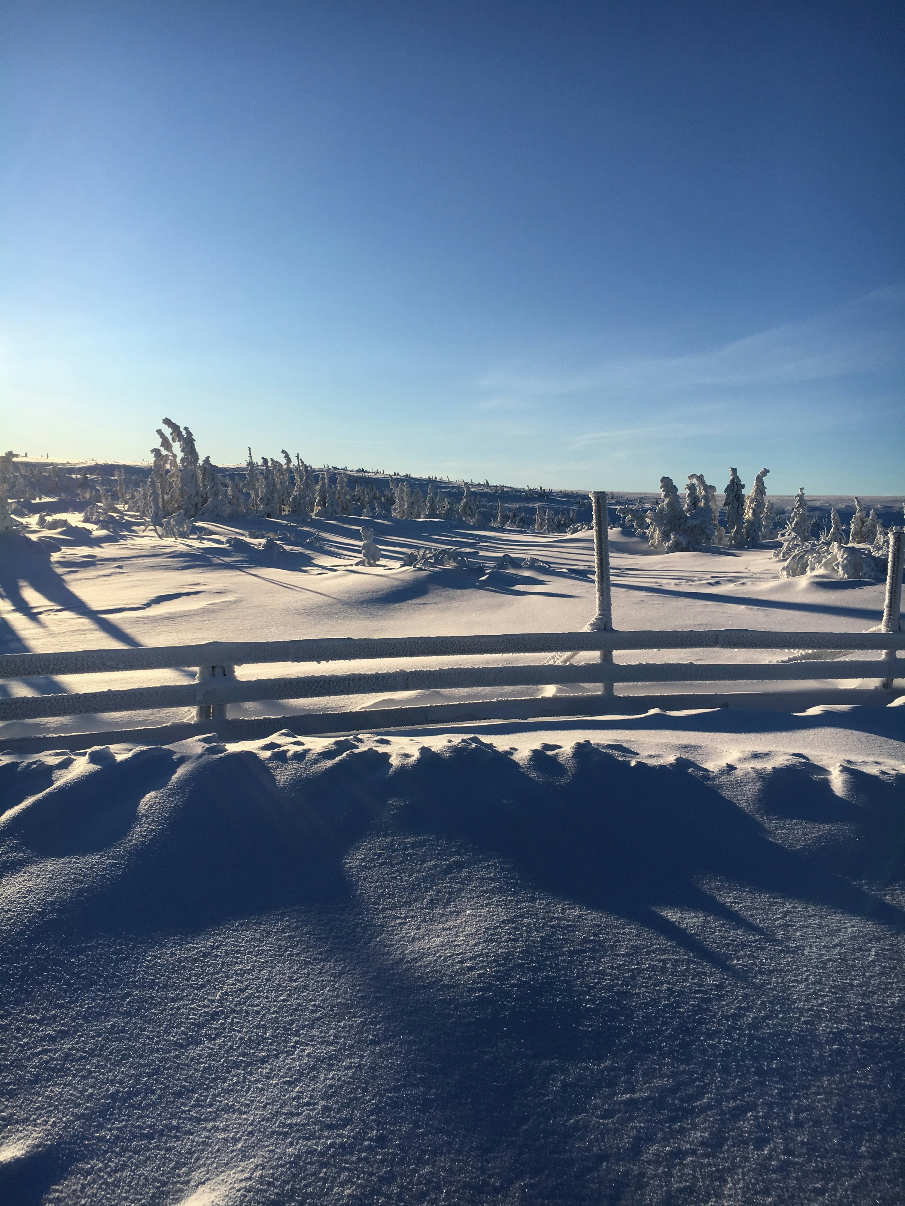 Snowbound Fence Casting Long Shadows Under Cerulean Light
