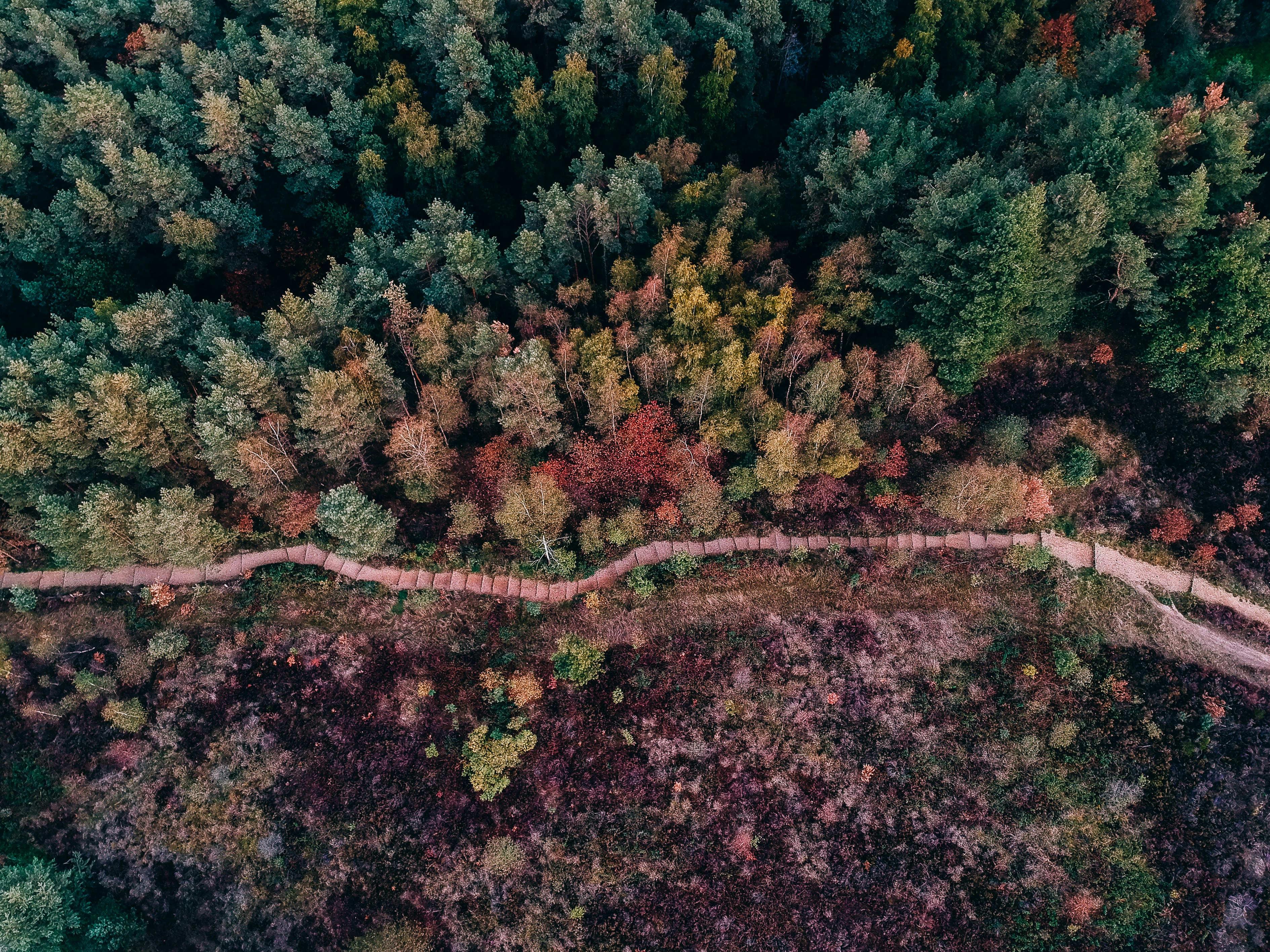 Définition de dense | Dictionnaire français