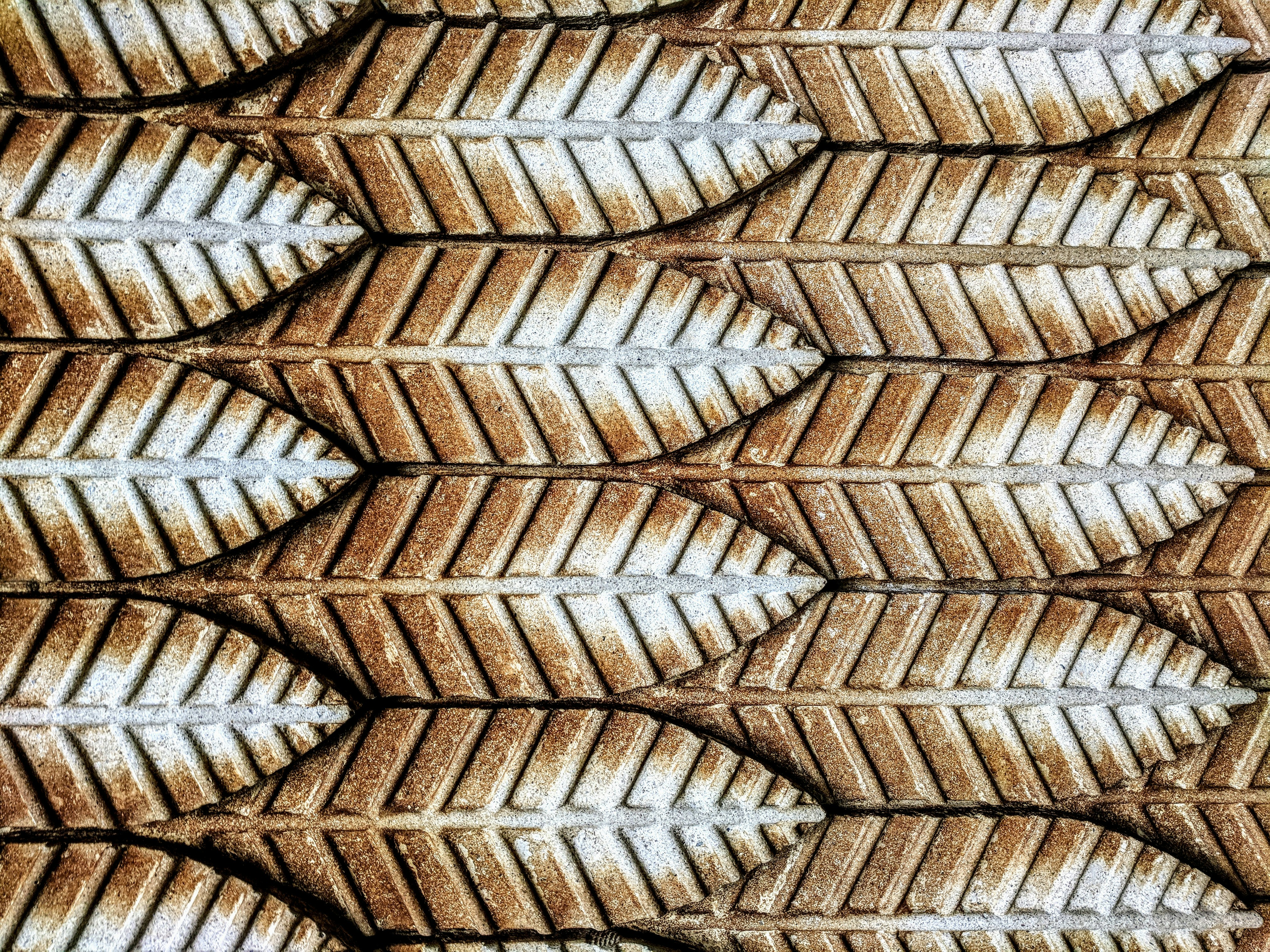 Brown leaf accent area rug photo – Free Pattern Image on Unsplash