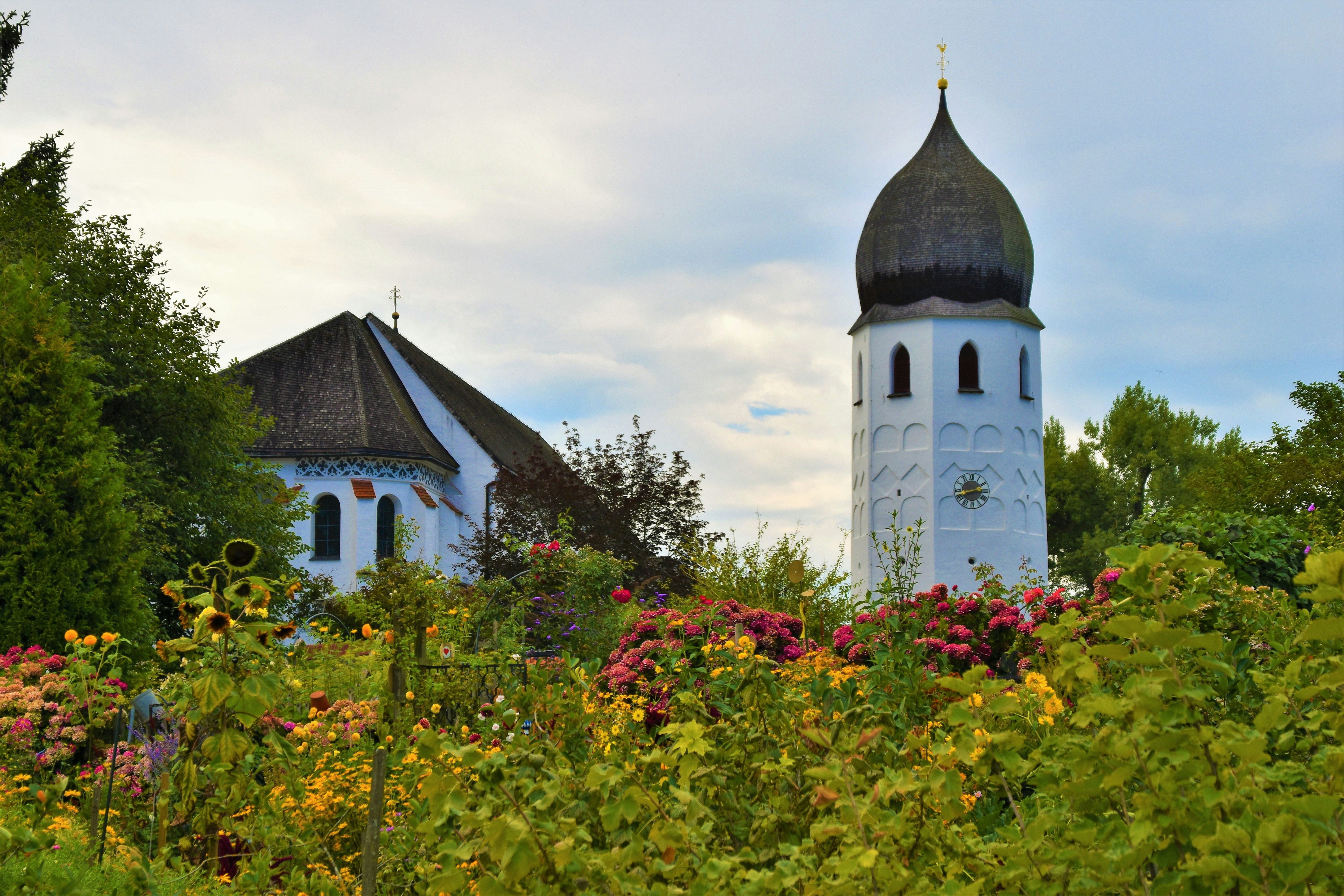 Historic church tower peeking through a vibrant garden filled with blooming flowers and lush greenery.