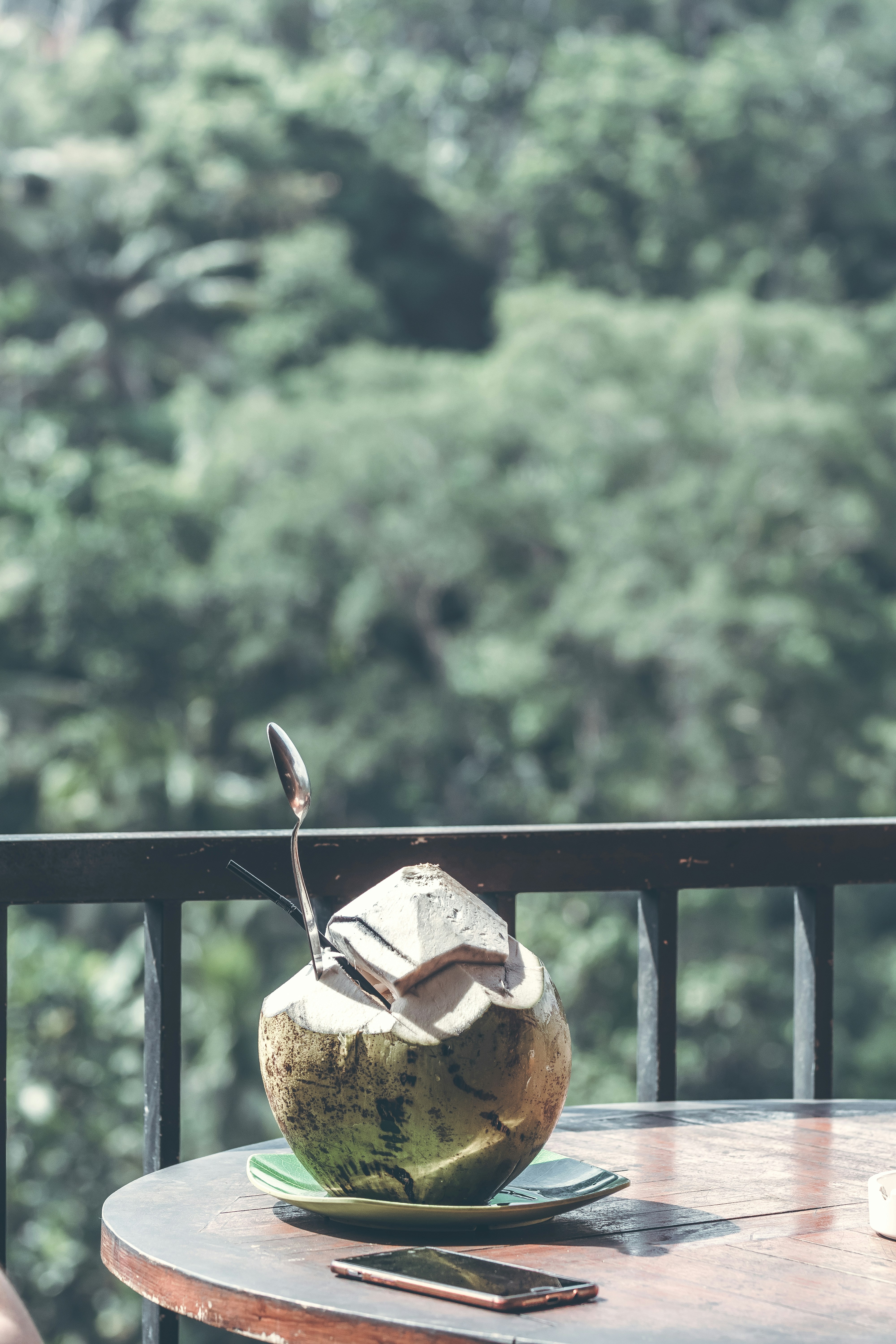 Coconut on a sunlit balcony table, a moment of tropical stillness framed by greenery