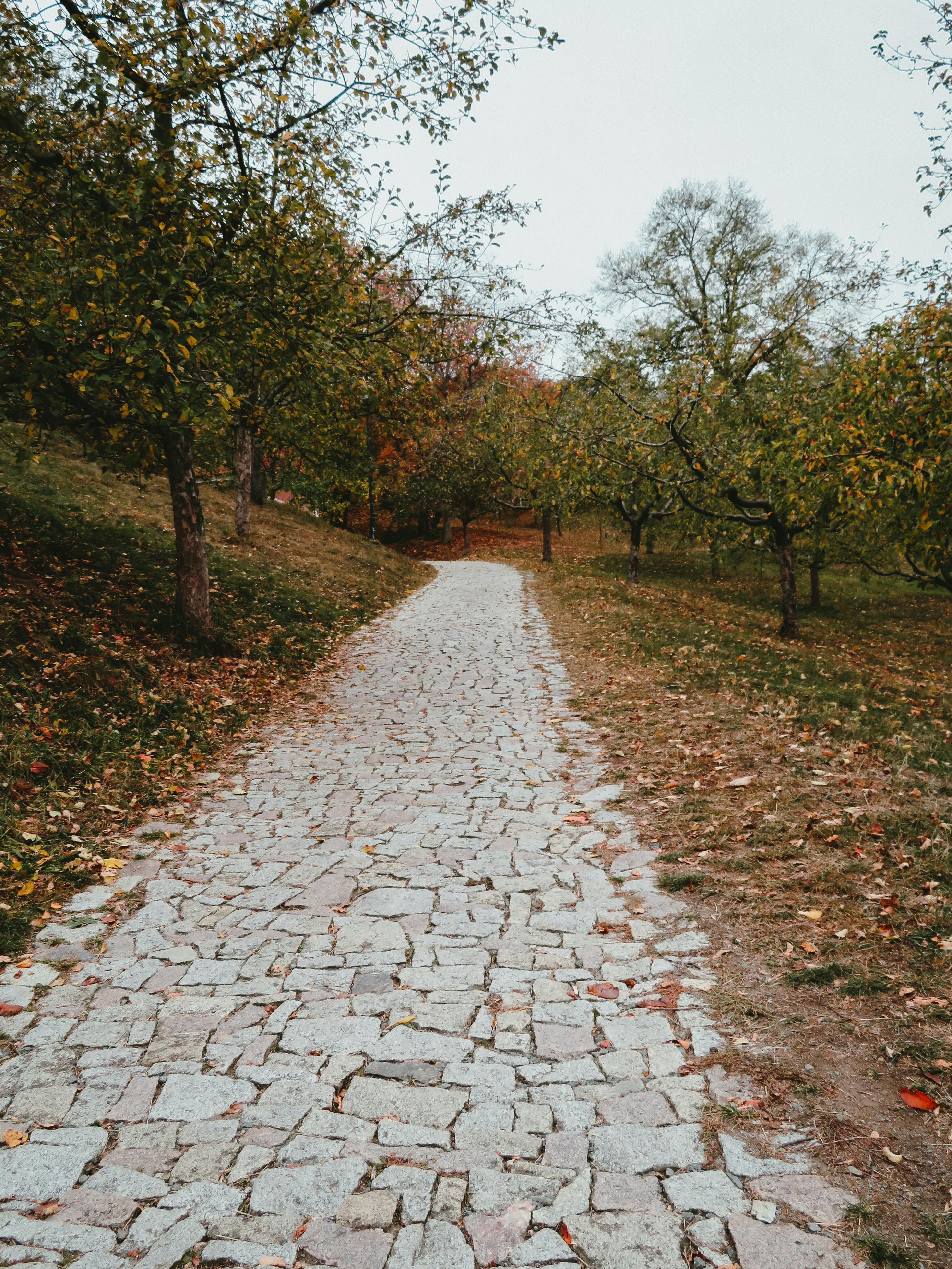Rugged cobblestone path winds through a quiet autumn park, lined with trees shedding amber leaves. The scene conveys a tranquil walk toward the softly distant light.