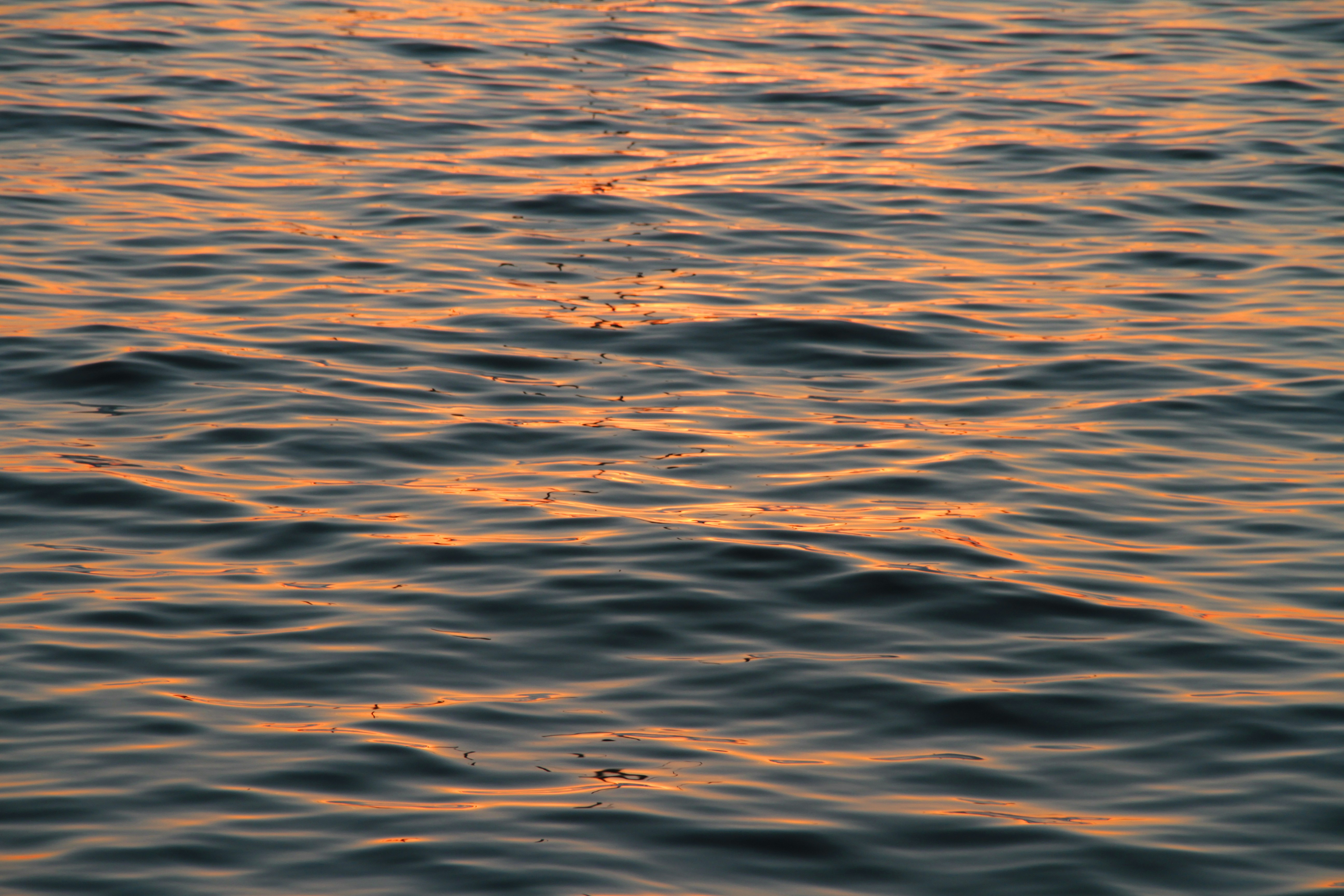 Gentle waves on water reflecting warm sunset hues.
