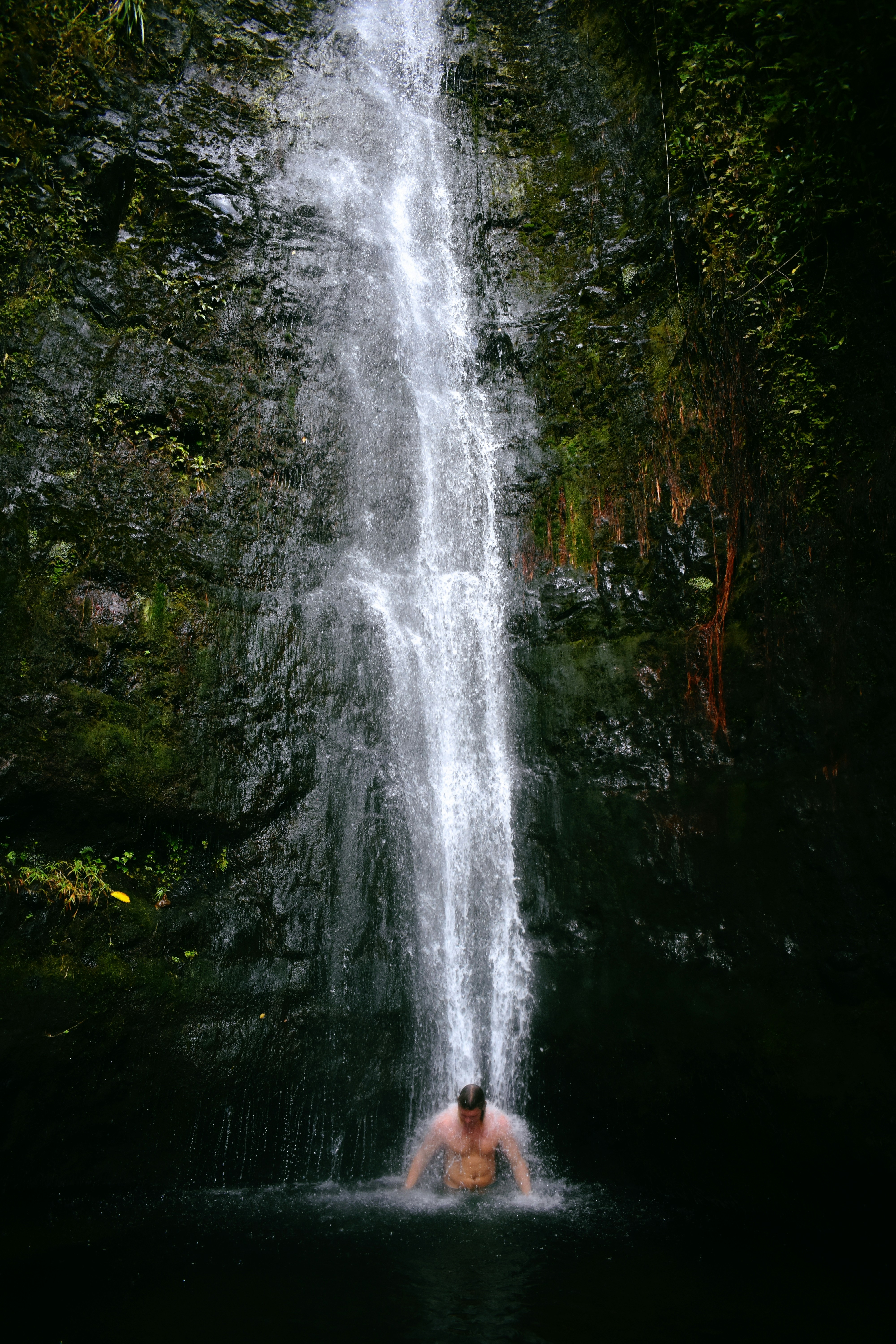 Man swimming under waterfalls photo – Free United states Image on Unsplash