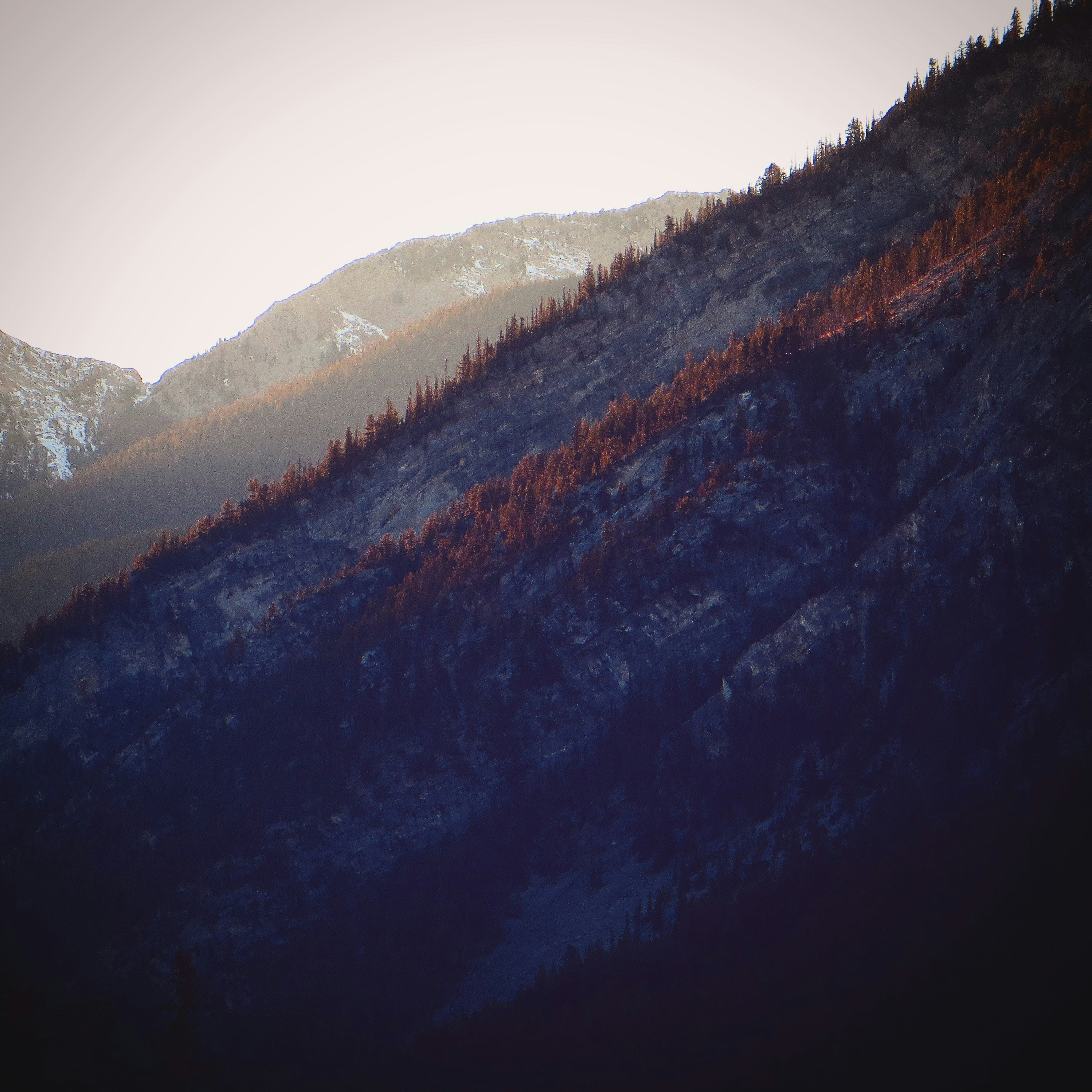 Dramatic mountain landscape at twilight, showcasing rugged peaks and dense forests under a fading light.