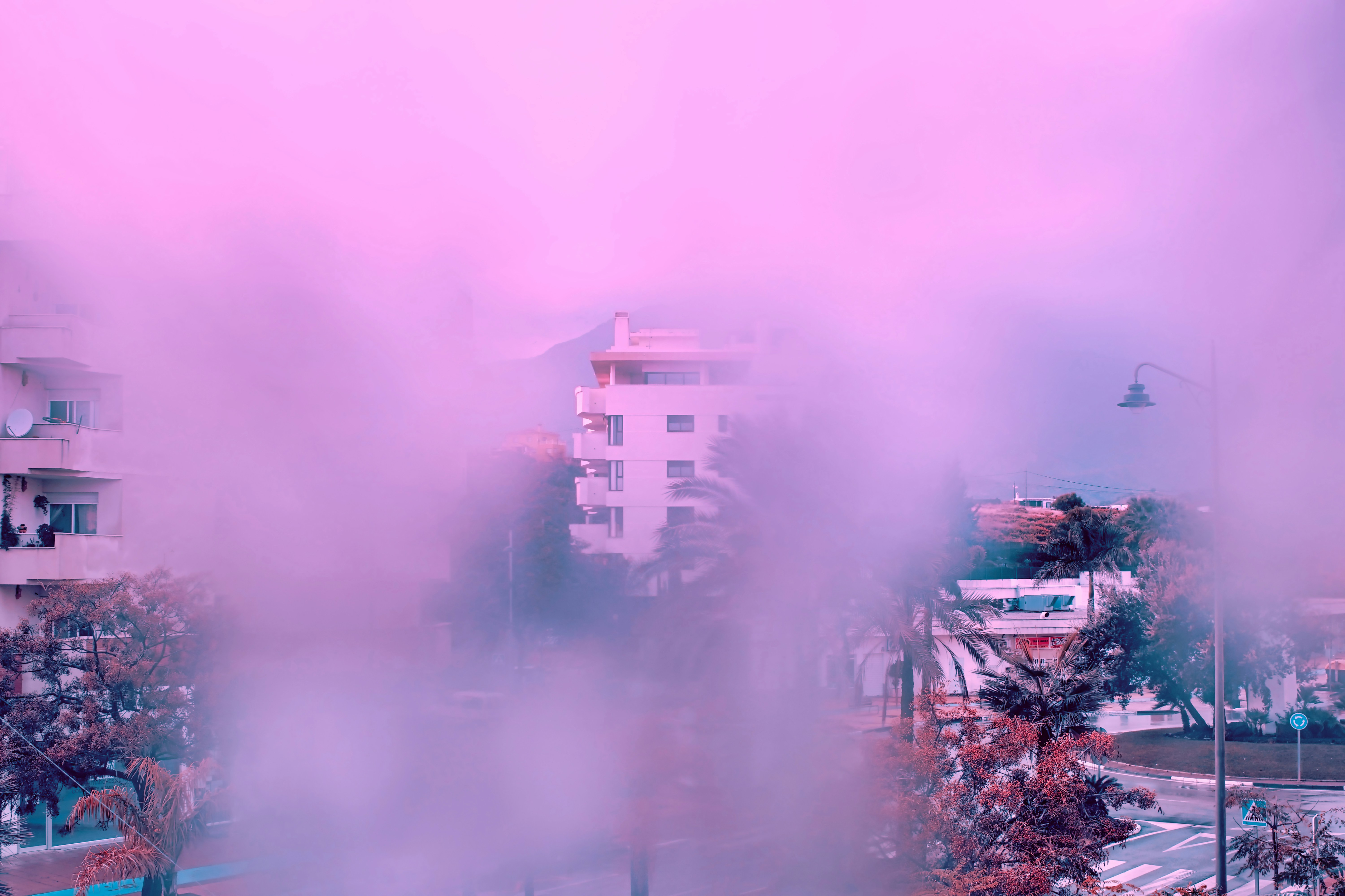 Blush Mist Drapes a City Block as Buildings Emerge Through the Fog