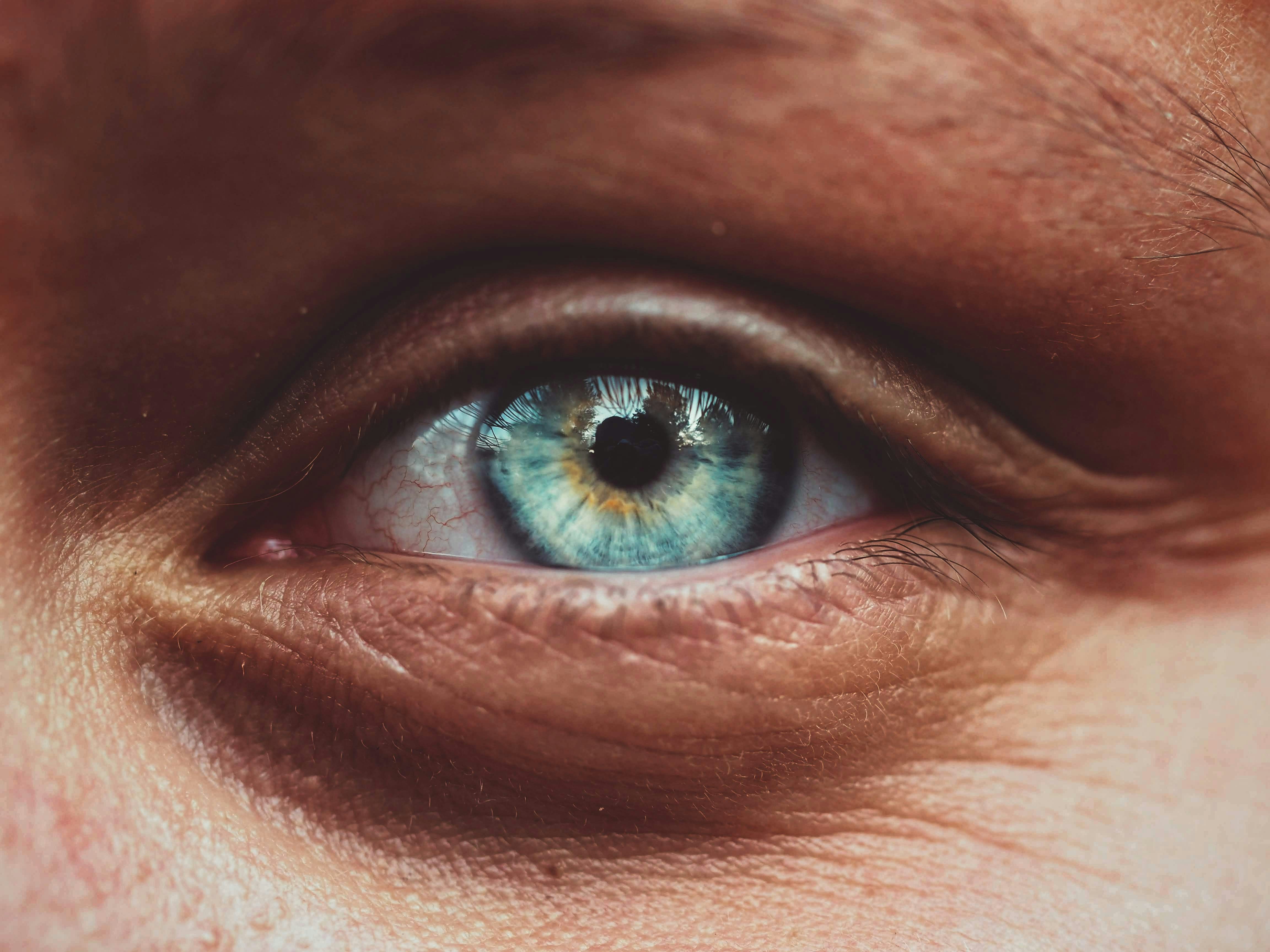 Left human eye photo – Free Austria Image on Unsplash