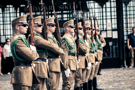 Ceremonial Precision: Soldiers in Formation
