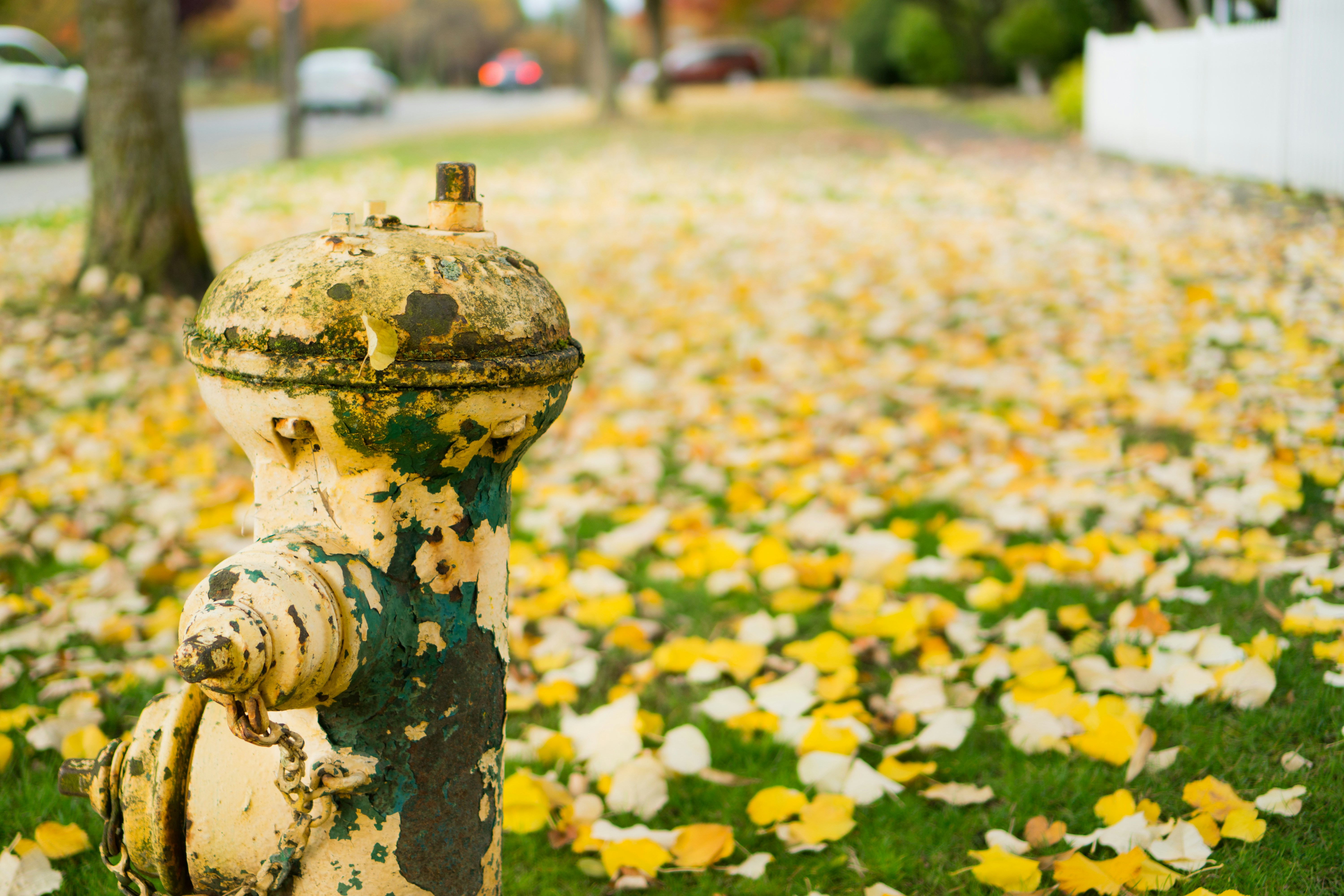 Weathered fire hydrant in a leaf-strewn street