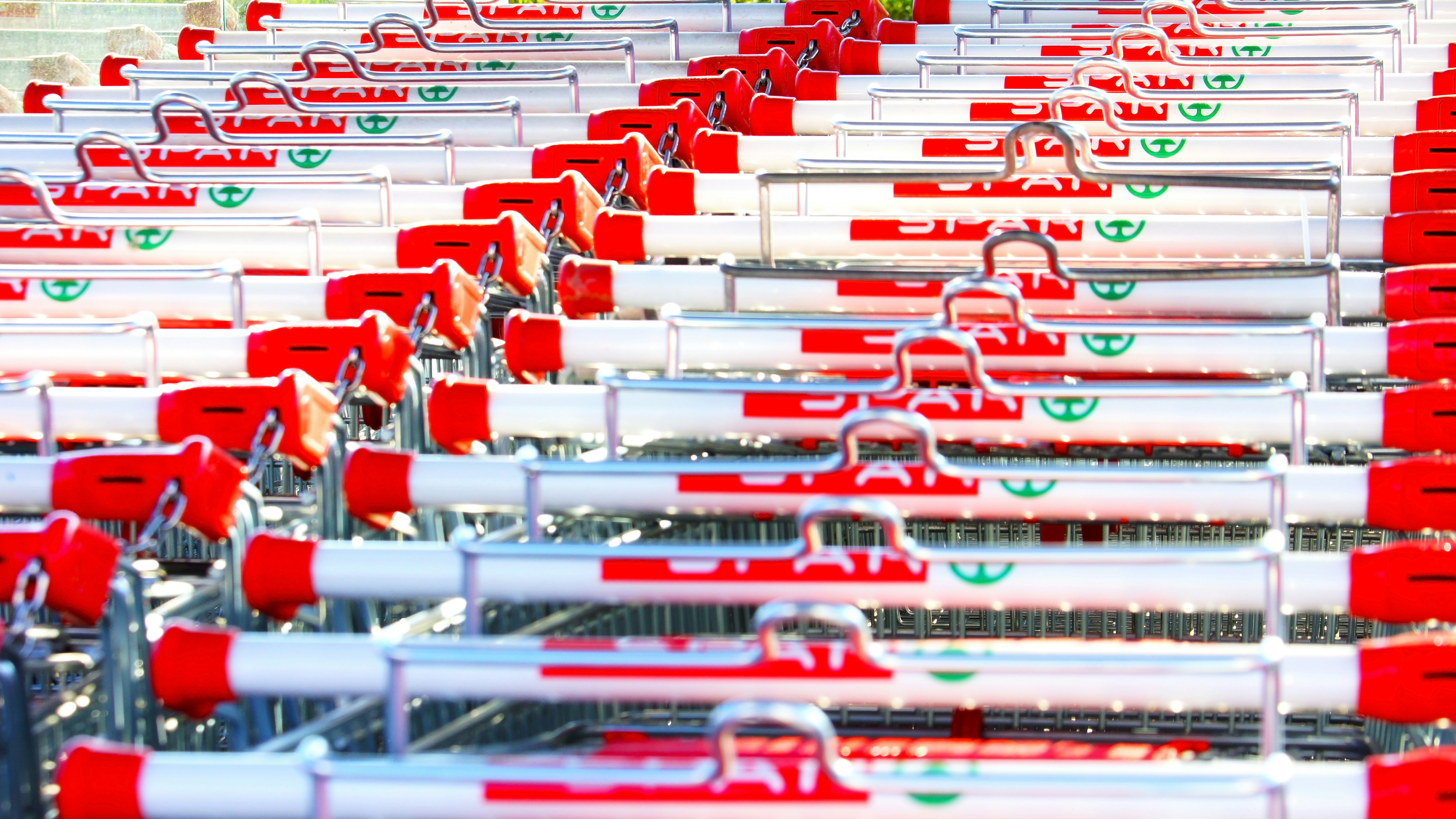 Rows of red and white shopping carts aligned in neat parallel formation.