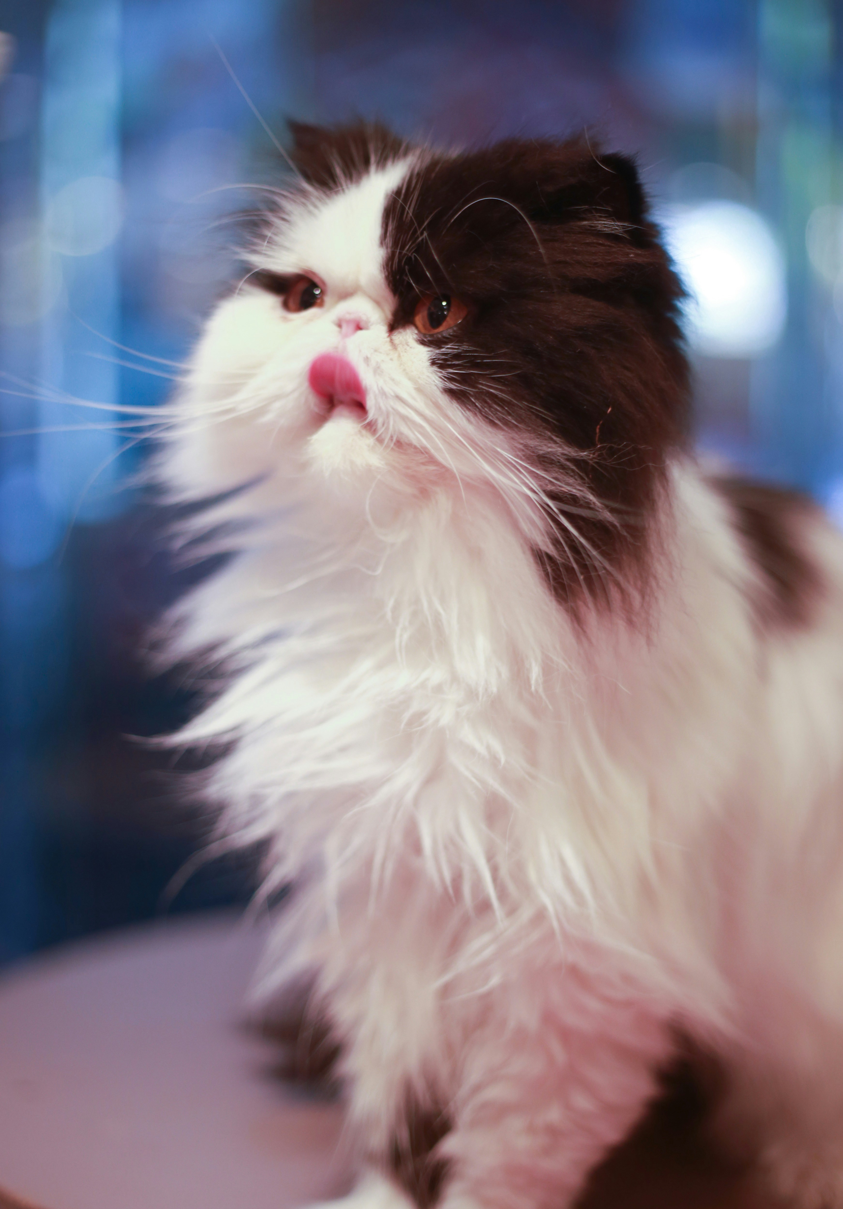 zixuan Fu (@fuzixuan) | Comunidade de fotos da Unsplash