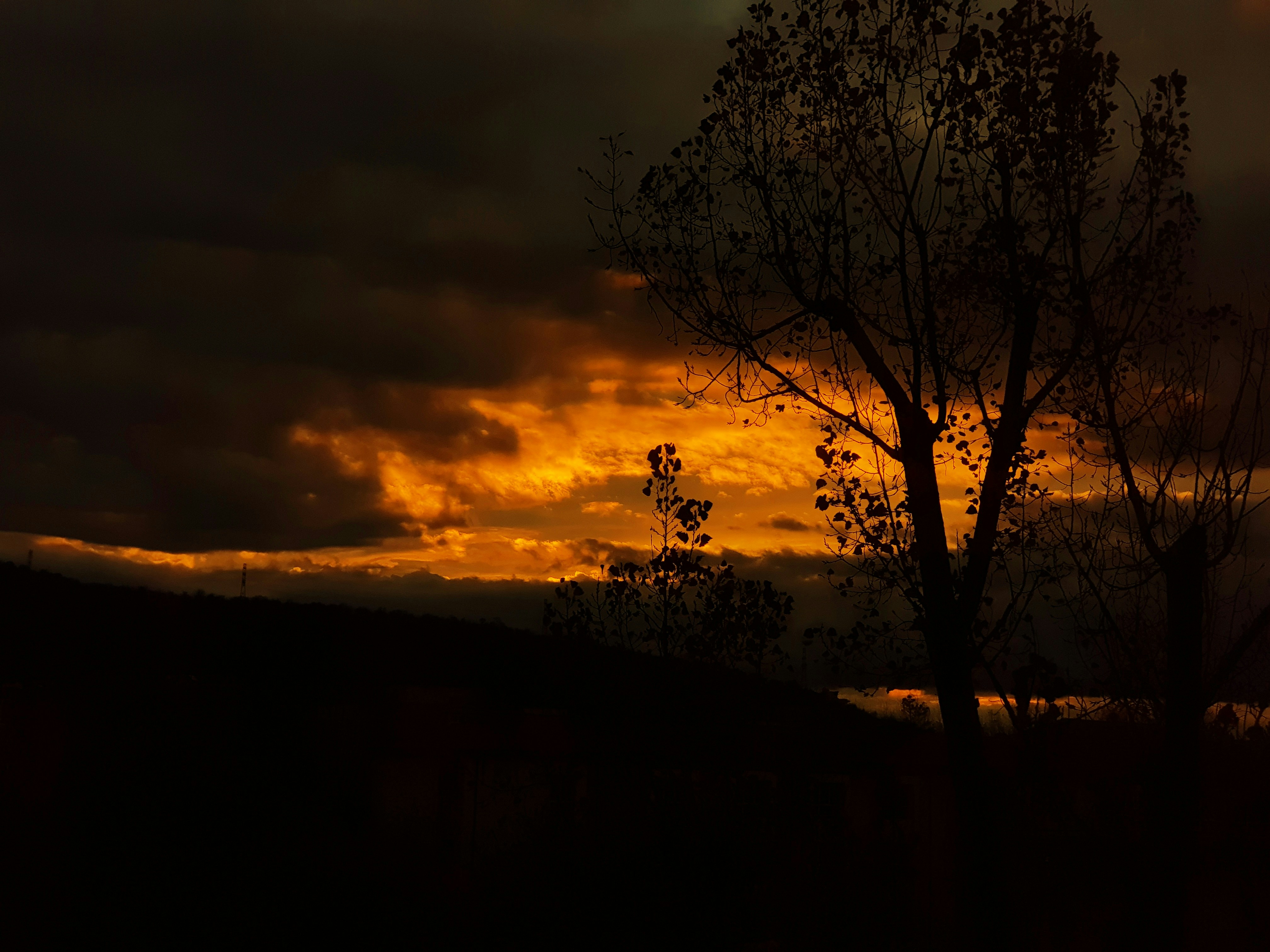 Dramatic sunset casting vibrant orange hues against a darkened sky, silhouetted trees framing the scene.
