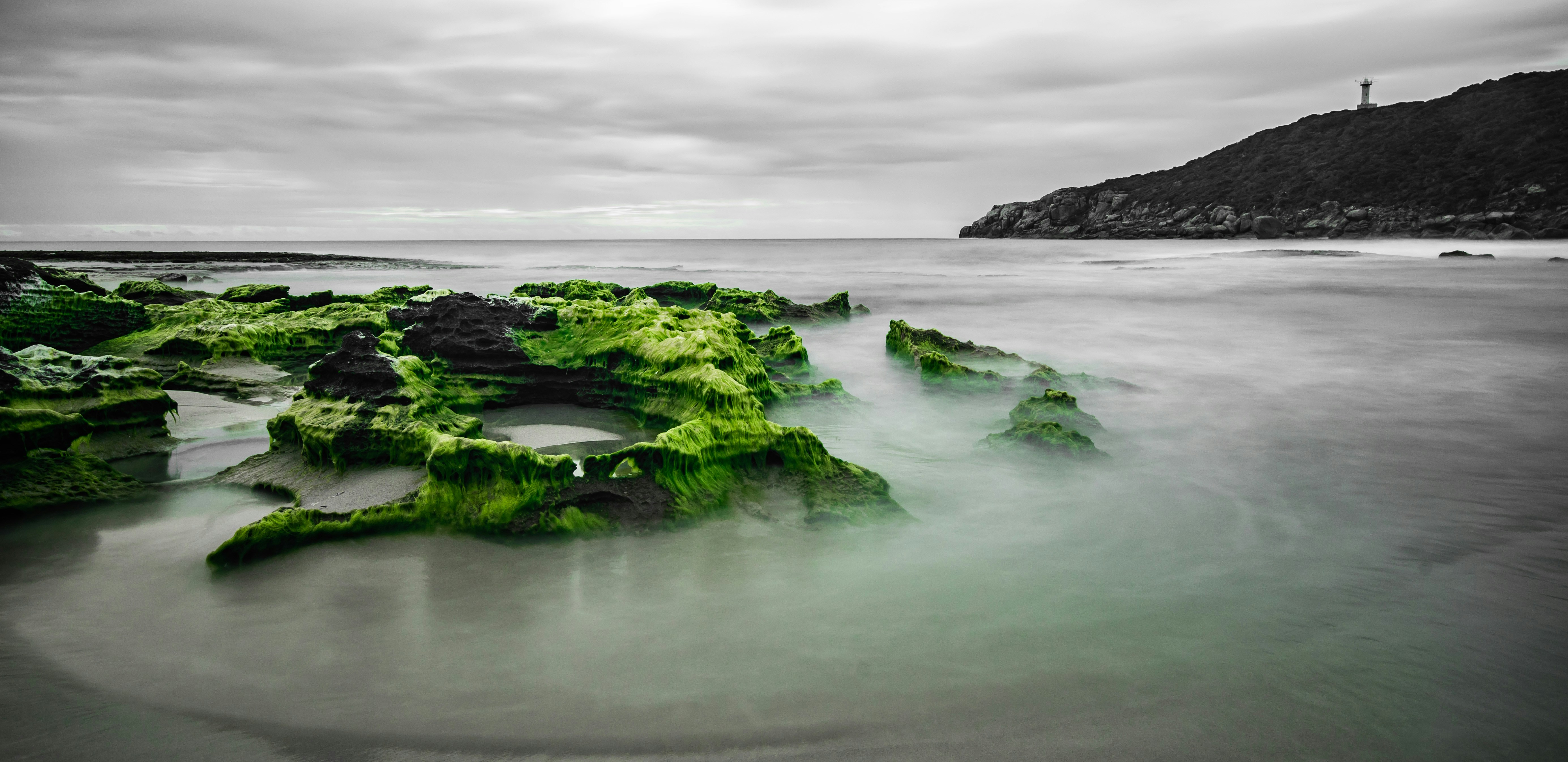 Emerald Tides Against a Stormy Horizon