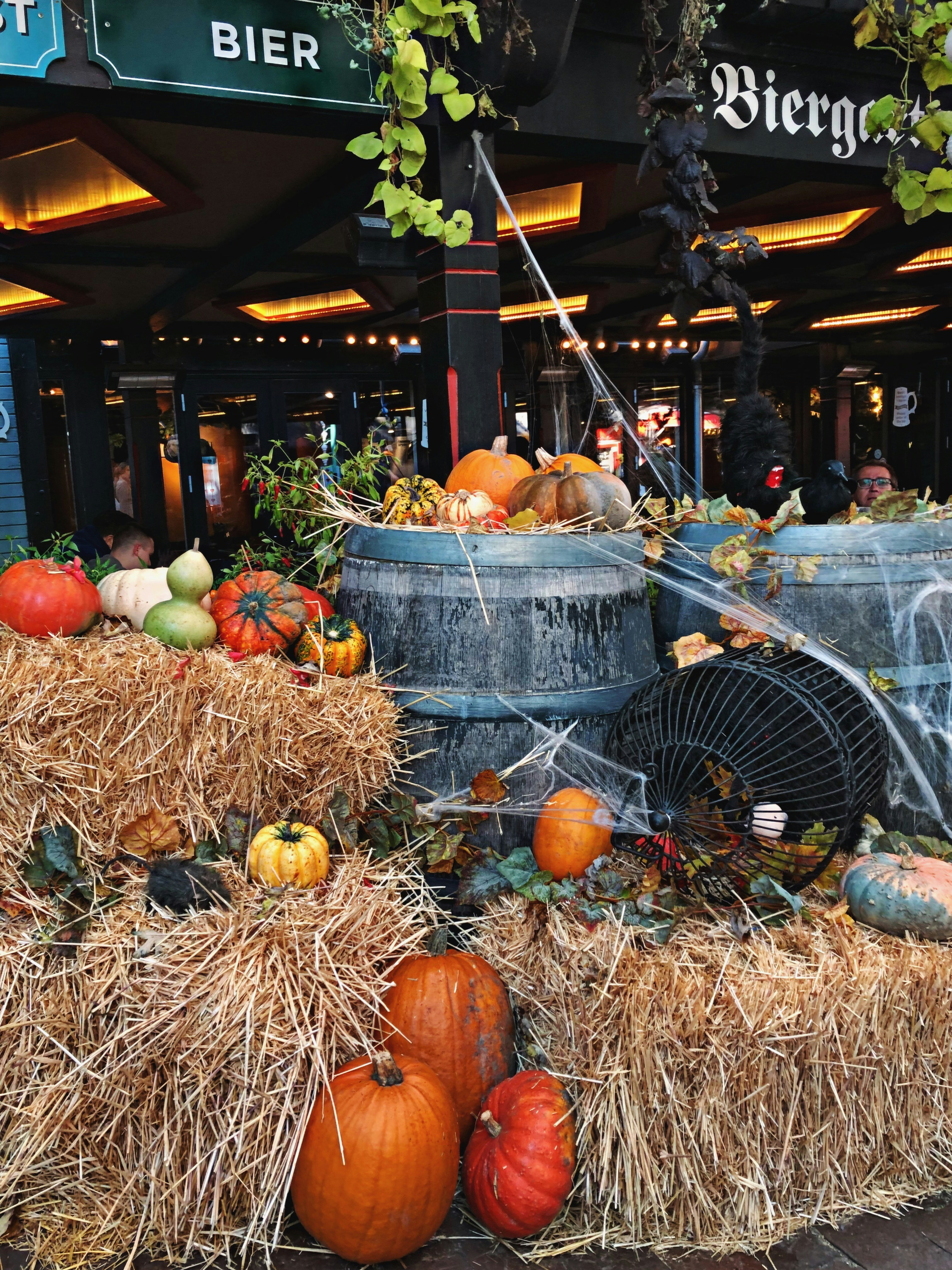 Autumn Harvest at the Beer Garden