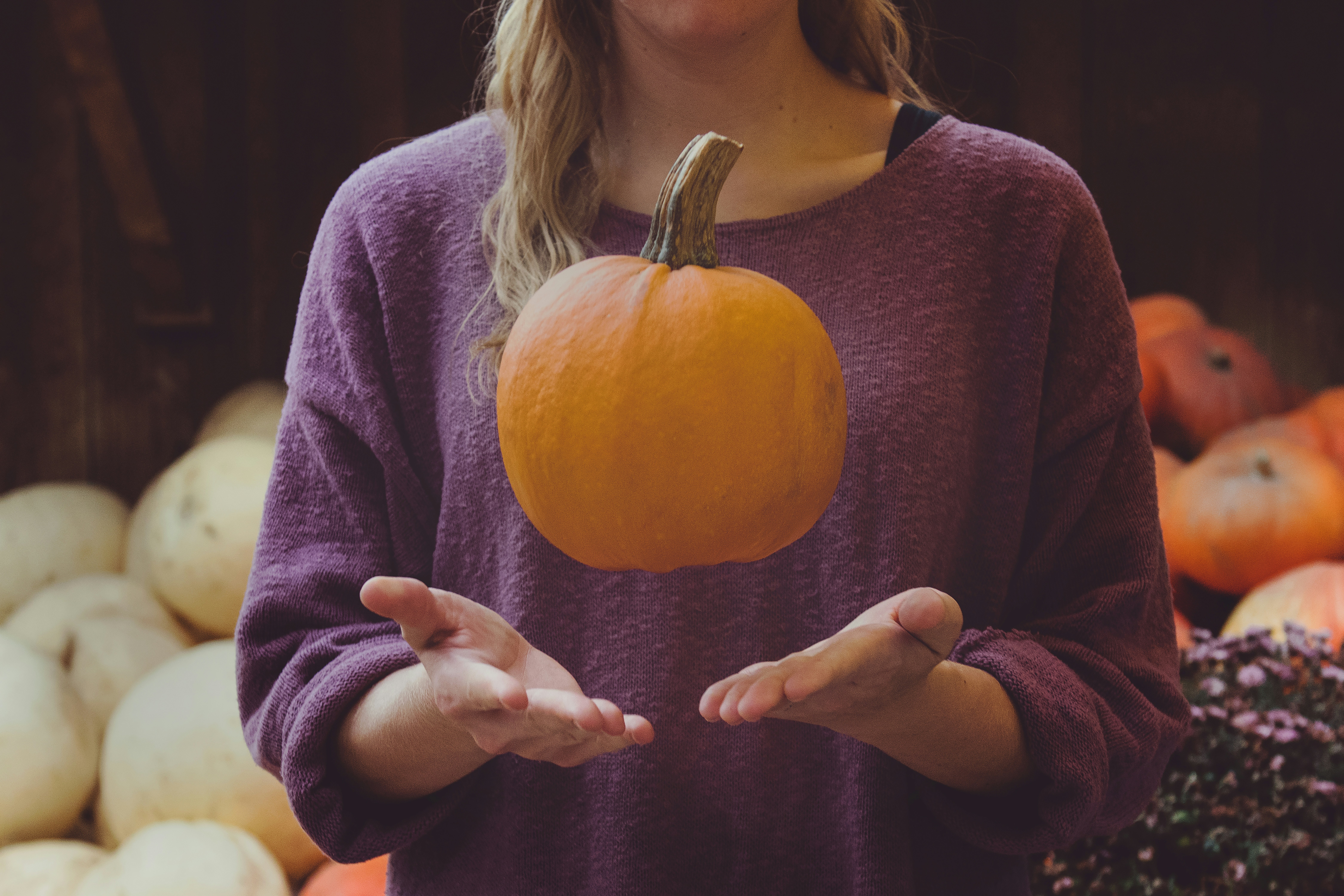 A woman in a cozy sweater levitates a vibrant orange pumpkin between her hands, surrounded by a variety of pumpkins in a rustic setting.