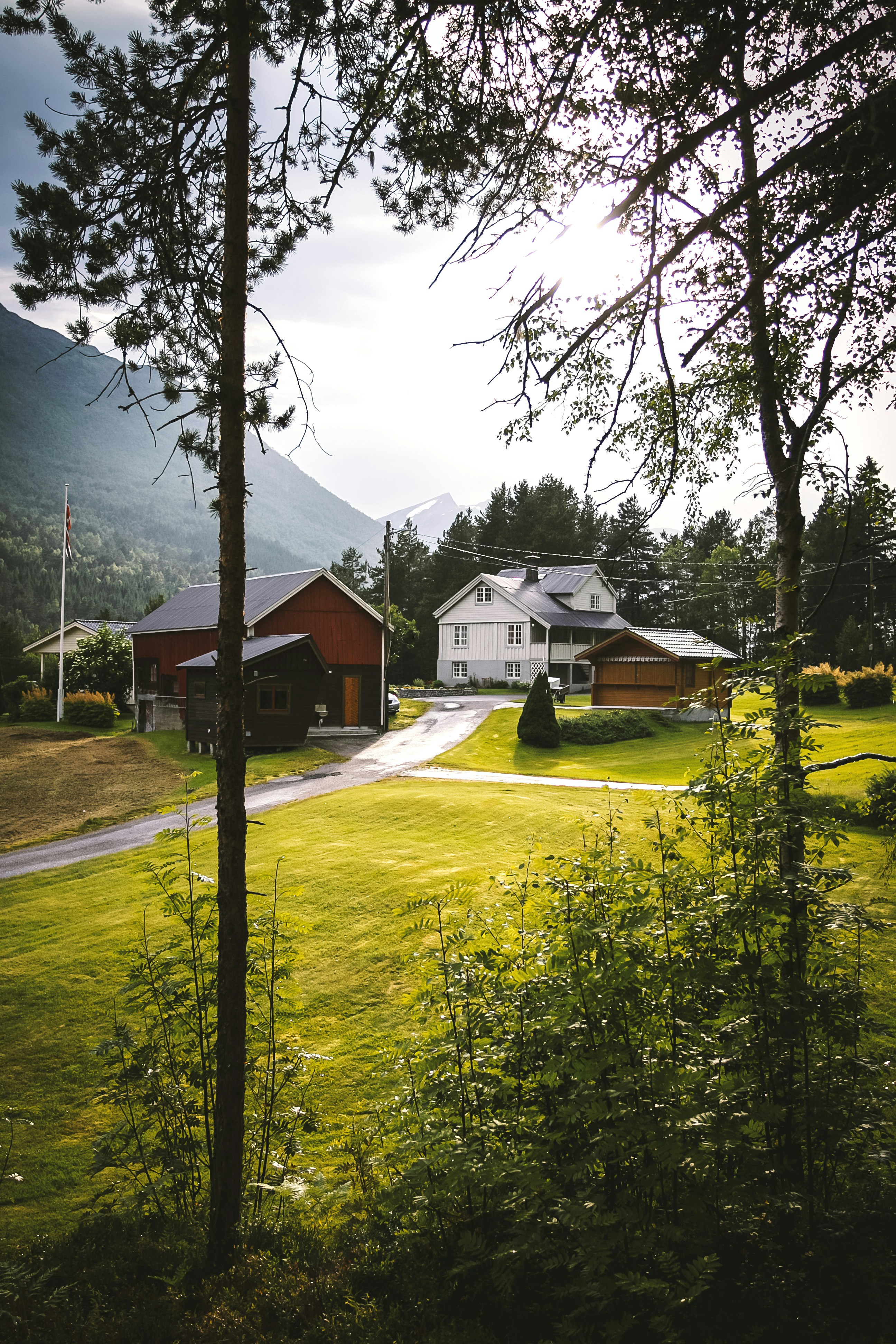 Sunlit Crescent: A Quiet Village Nestled Between Pines and Peaks