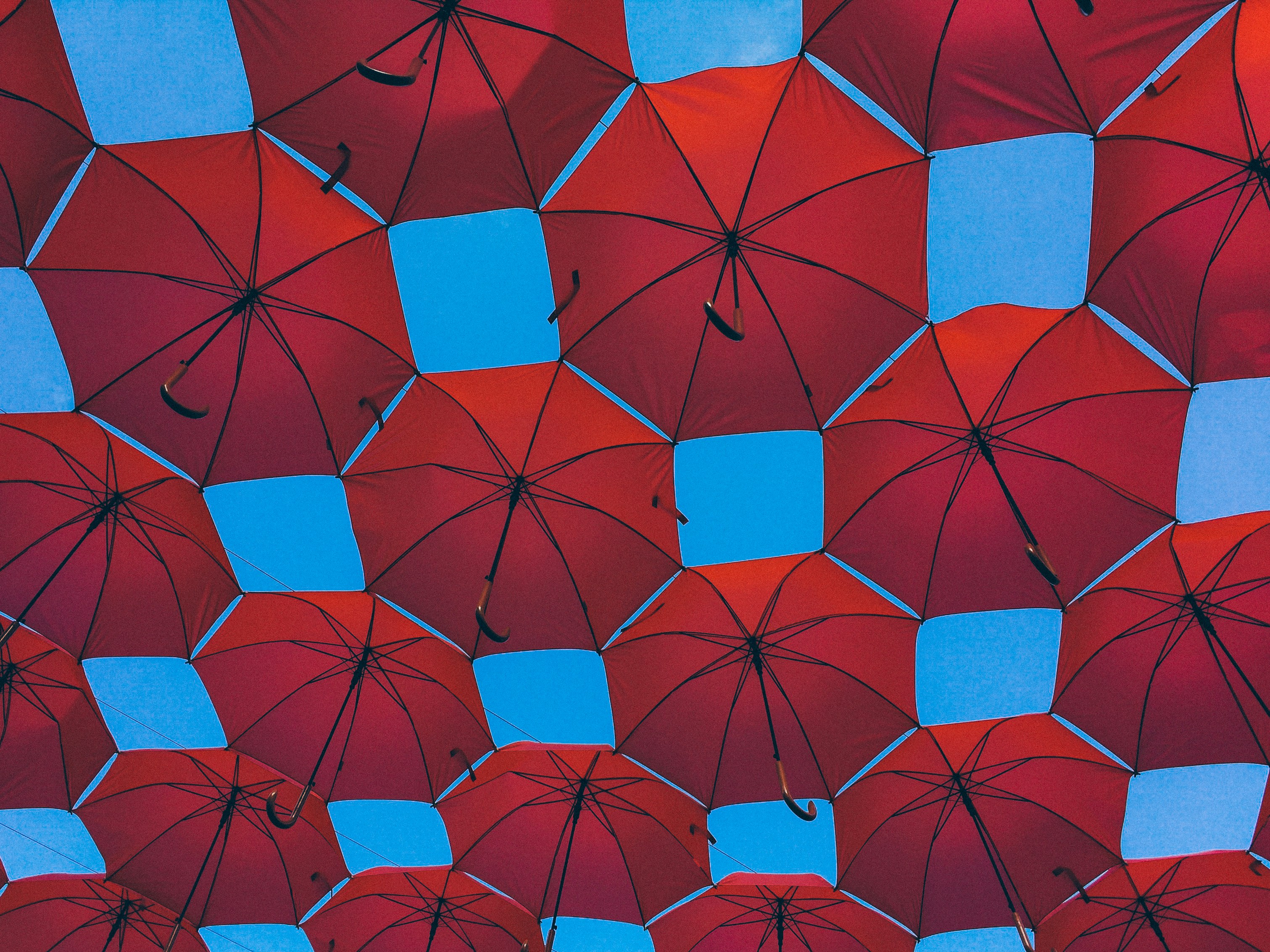 Red Umbrella Pictures | Download Free Images on Unsplash