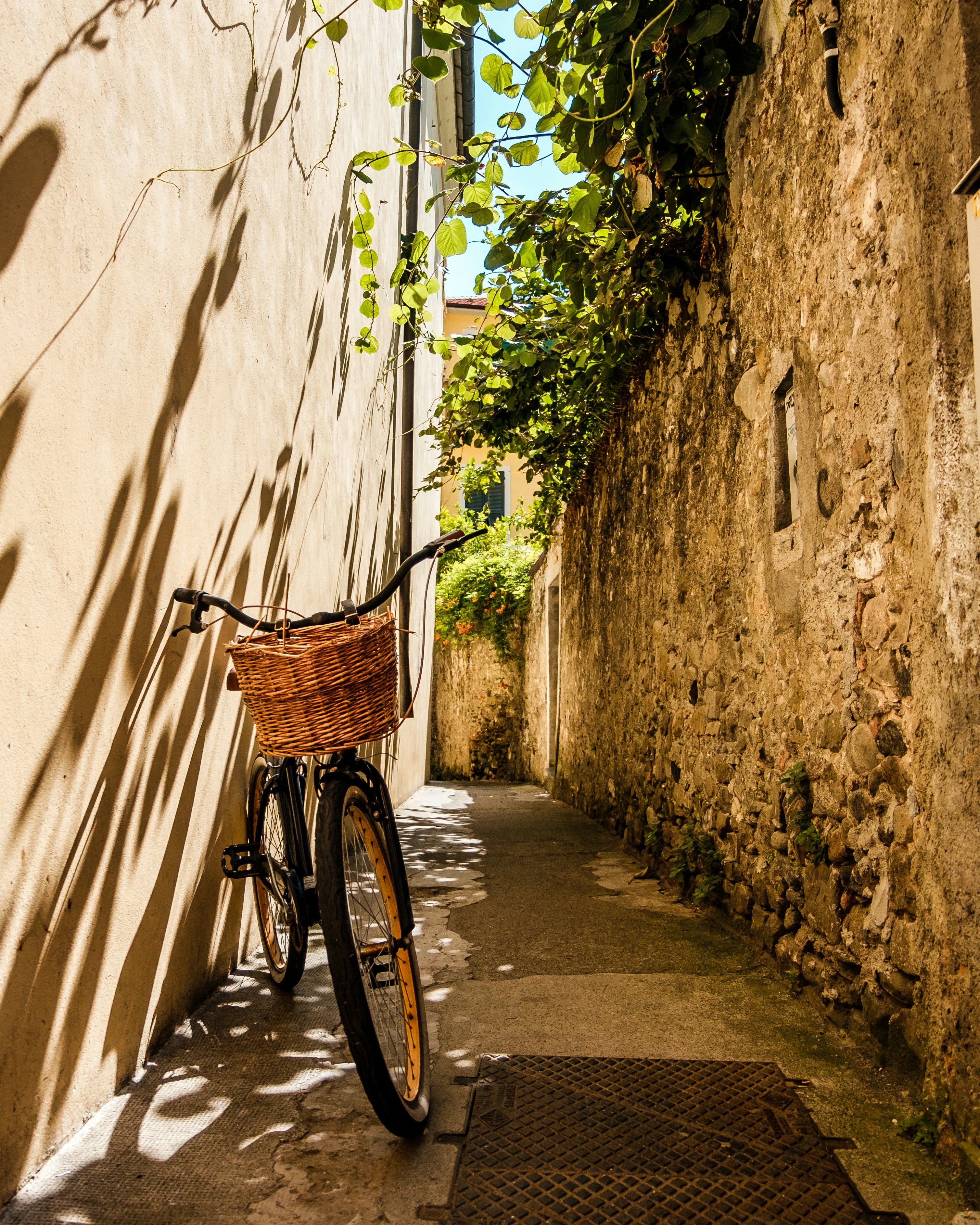 A vintage bicycle rests against a sunlit wall in a narrow alley, framed by lush greenery and shadows. The scene invites exploration and nostalgia.
