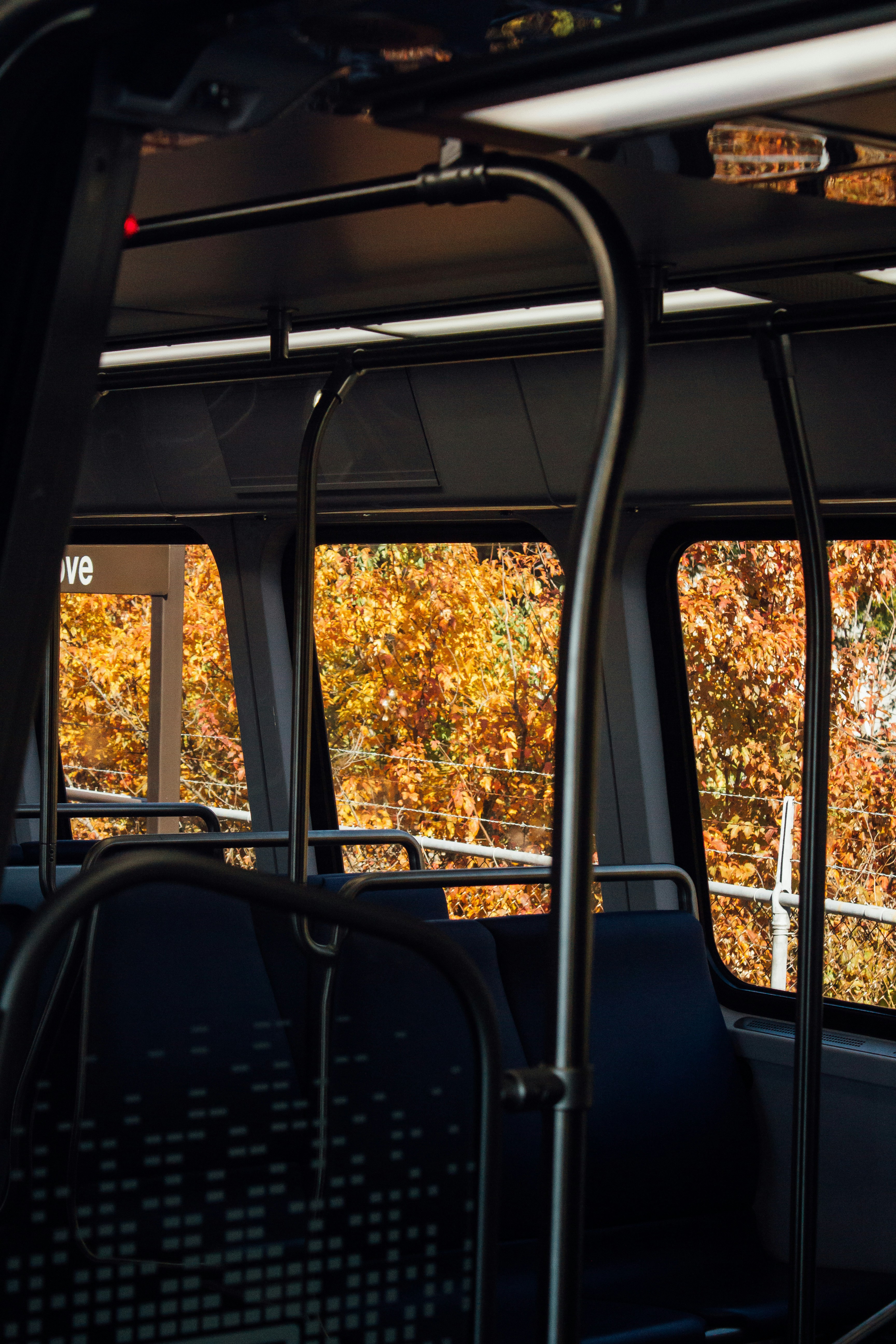 Interior of a modern bus showcasing empty seats with vibrant autumn foliage visible through the windows.