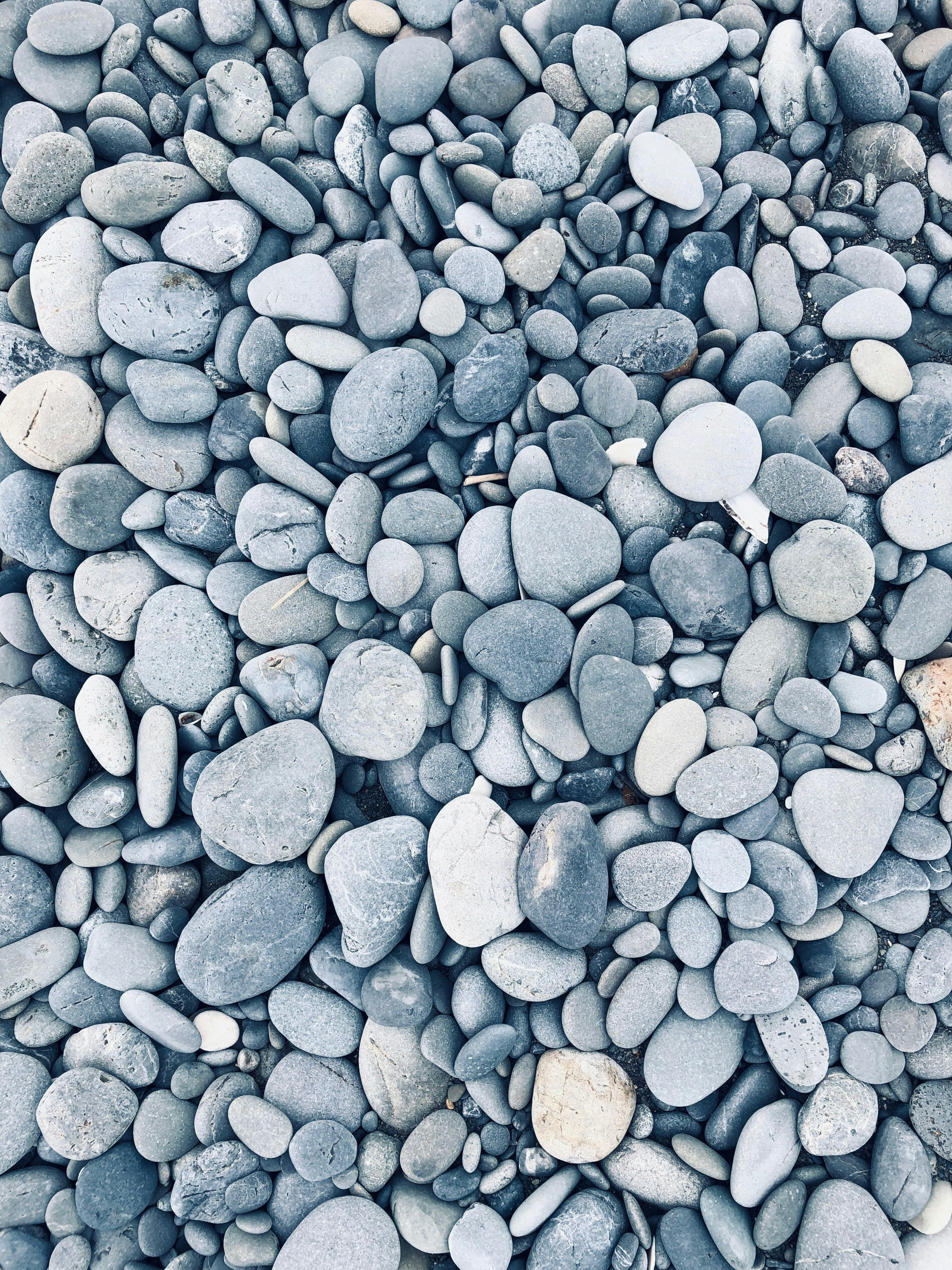 1000+ Pebble Pictures | Download Free Images on Unsplash