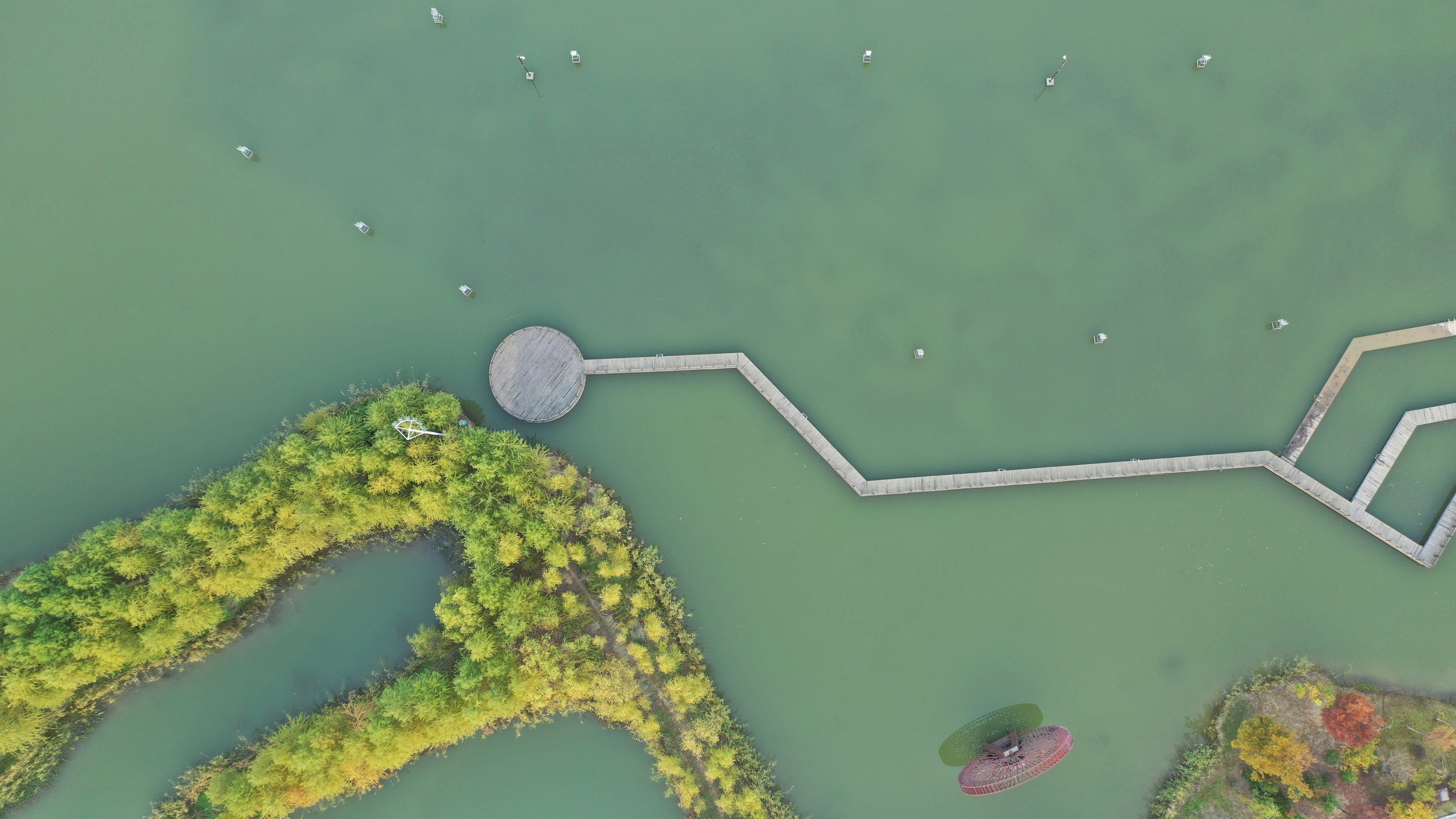 Aerial Geometry: Nature's Pathway