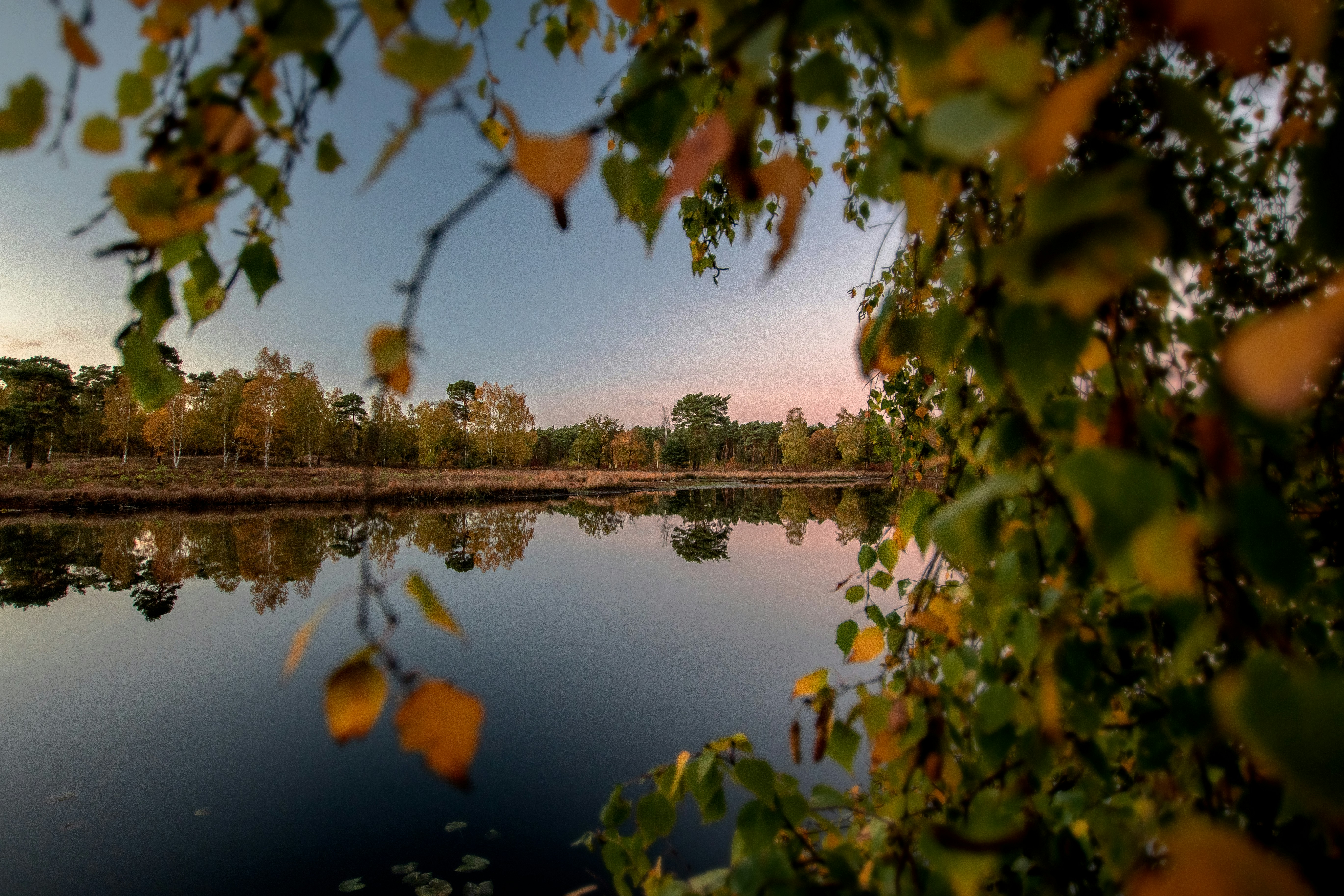 Arjan Wilmsen (@arjanwilmsen) | Unsplash Photo Community