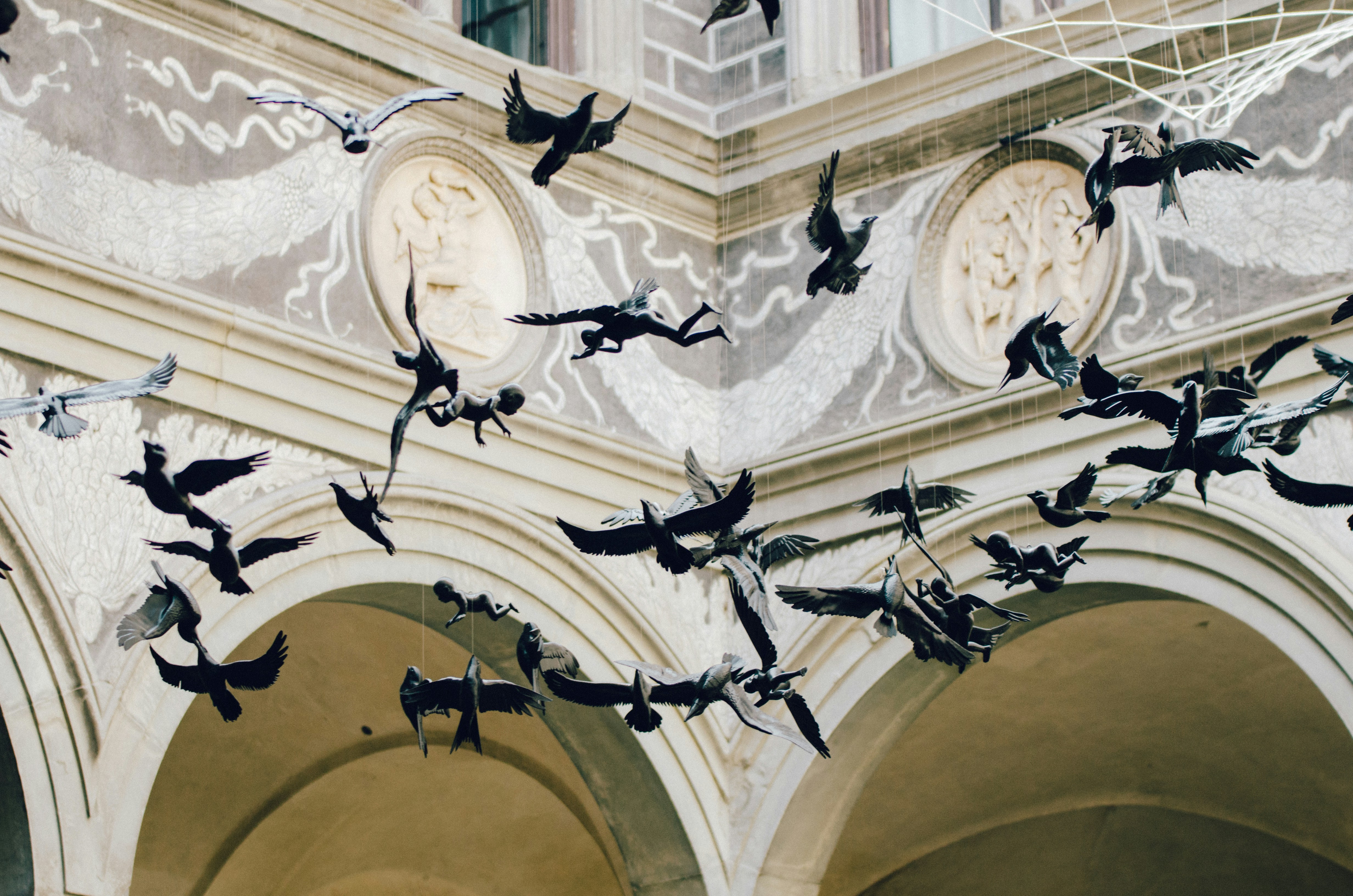 Flock of birds soaring through an ornate courtyard with classical architecture.