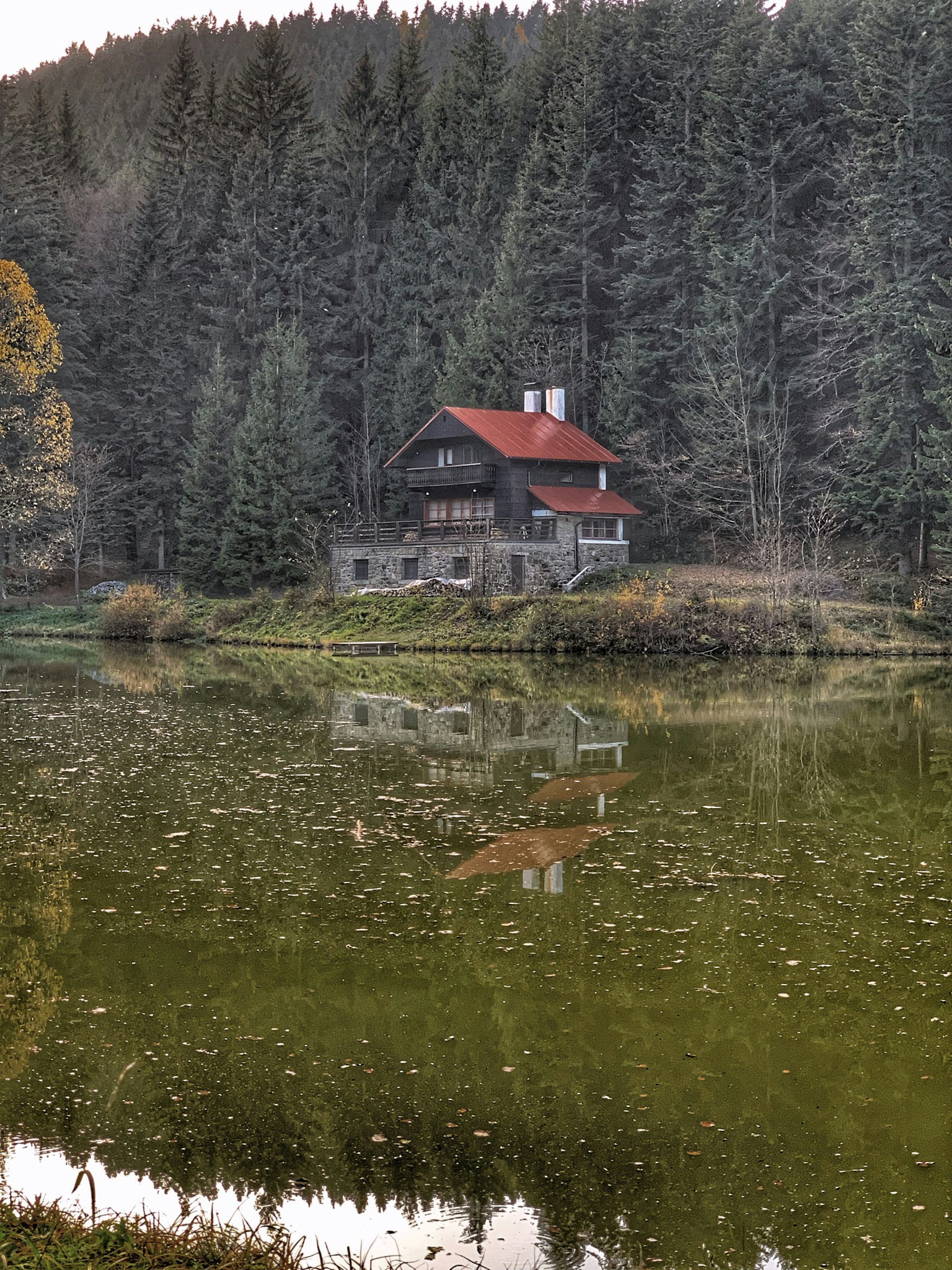 Red-Roofed Cabin Framed by Pines Over a Tranquil Lake