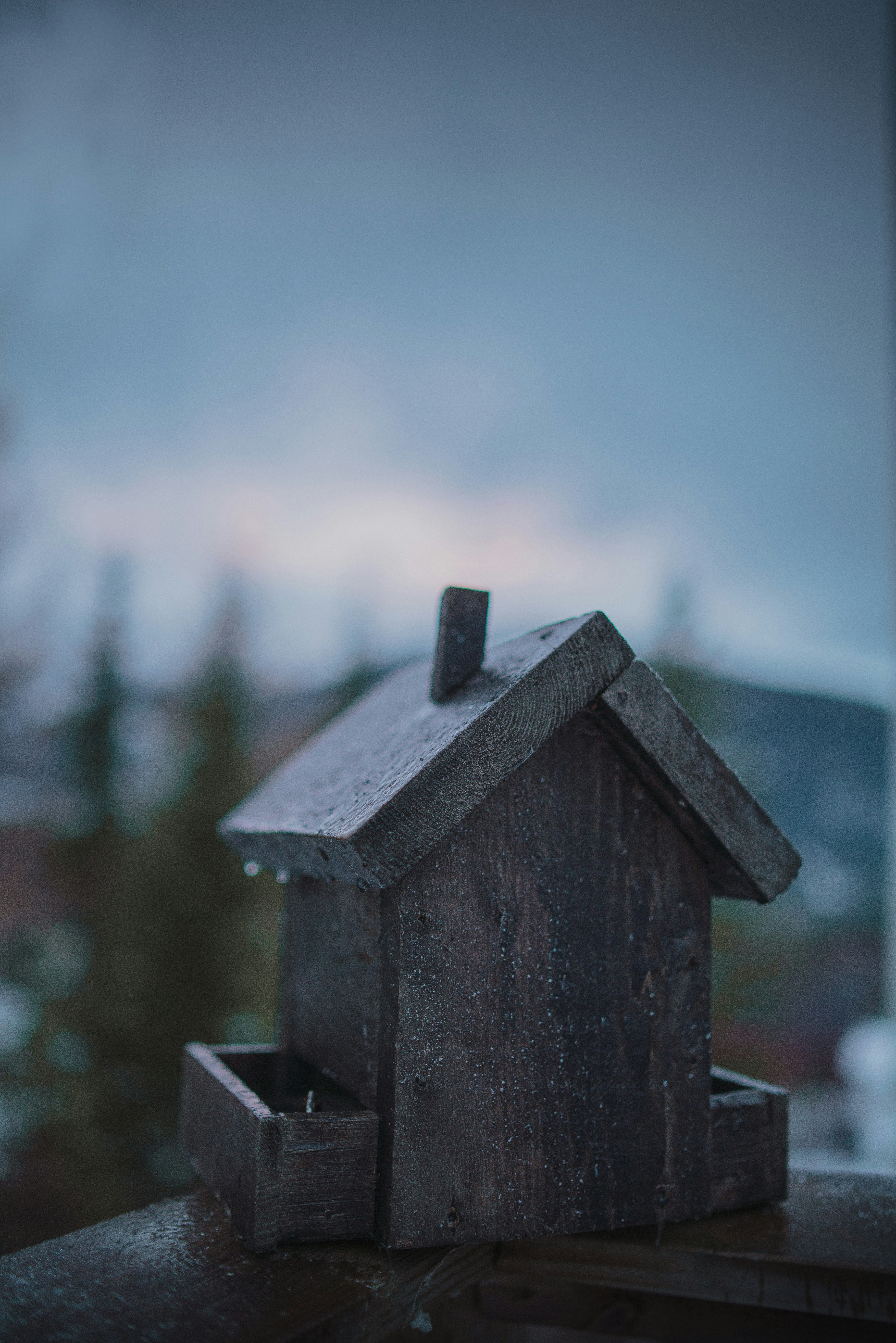 Rain-worn birdhouse on a wooden railing against a misty mountain backdrop