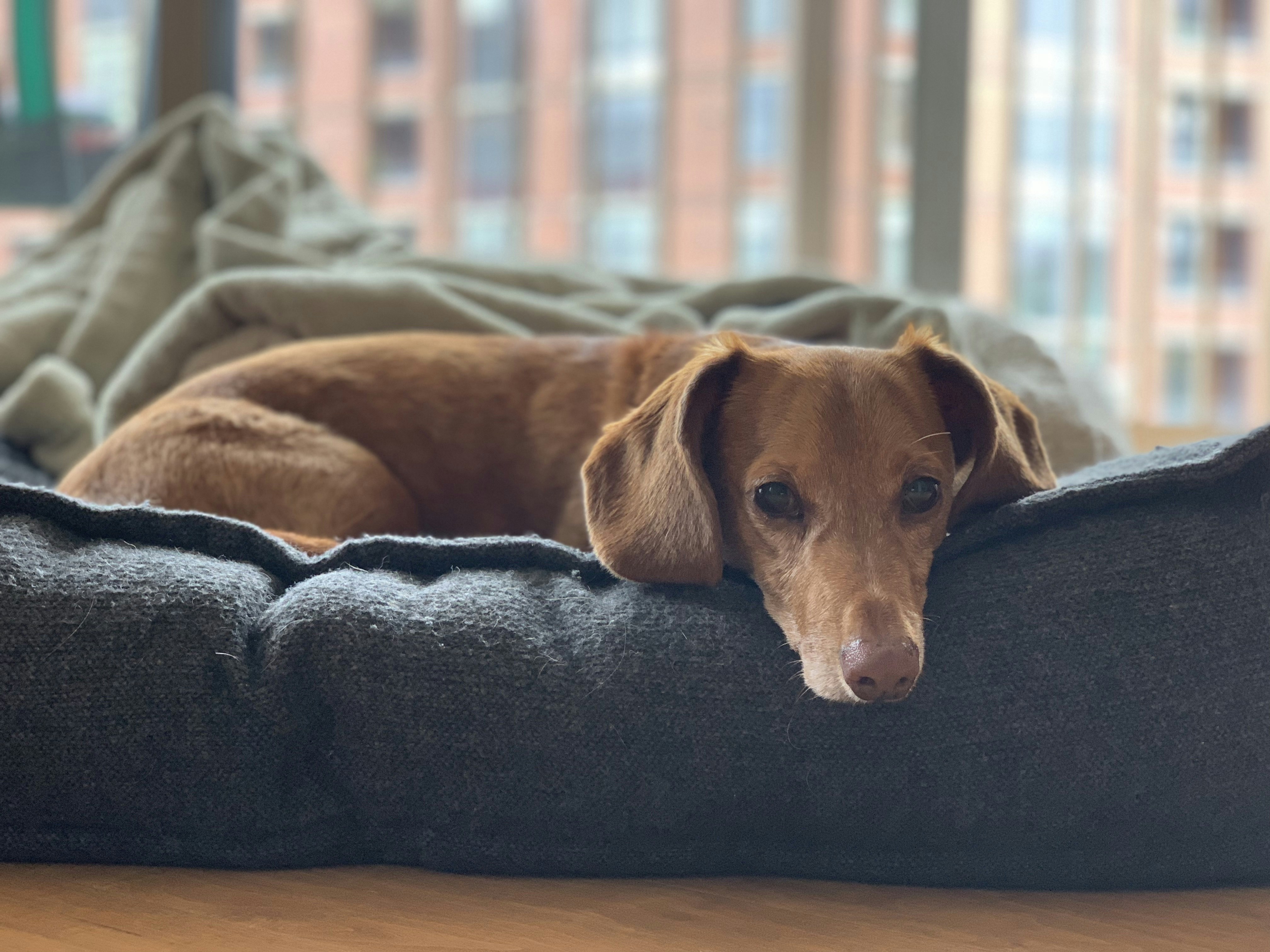 Anthony Maina (@anthonywm) | Unsplash Photo Community