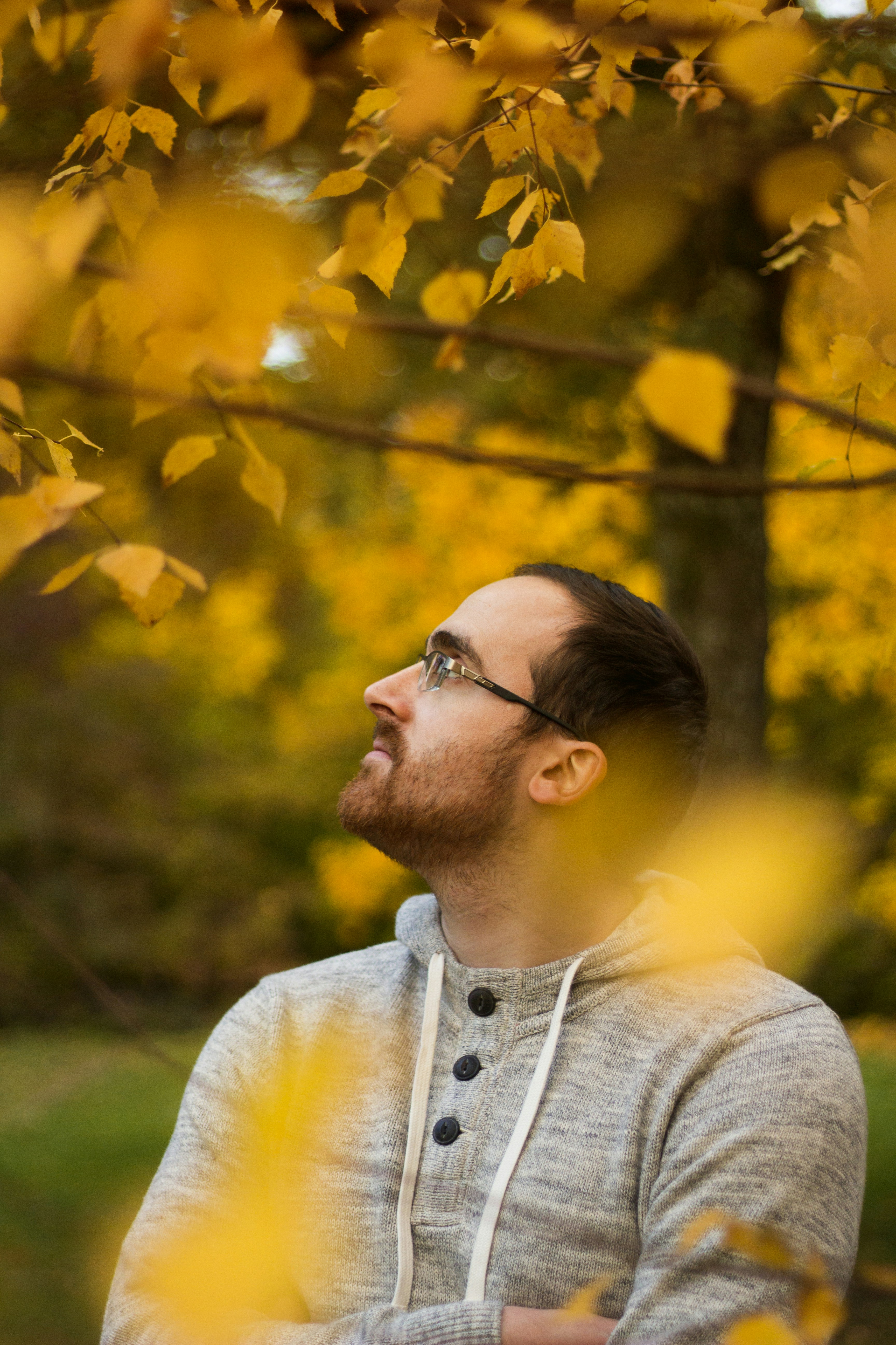 Man gazing thoughtfully upwards, surrounded by vibrant yellow leaves in an autumn setting.