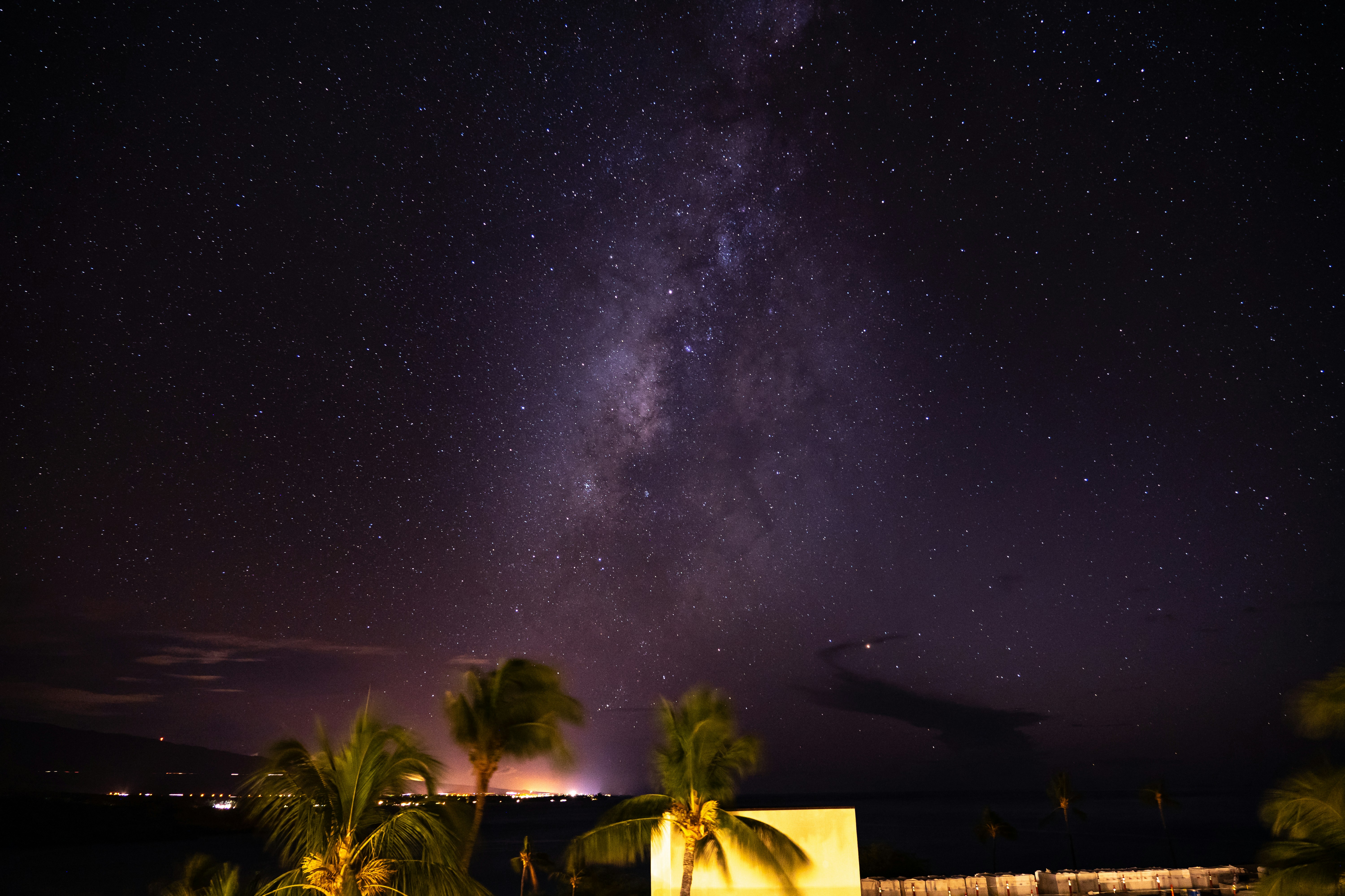 Milky Way Arch Over a Palm-Lined Seascape