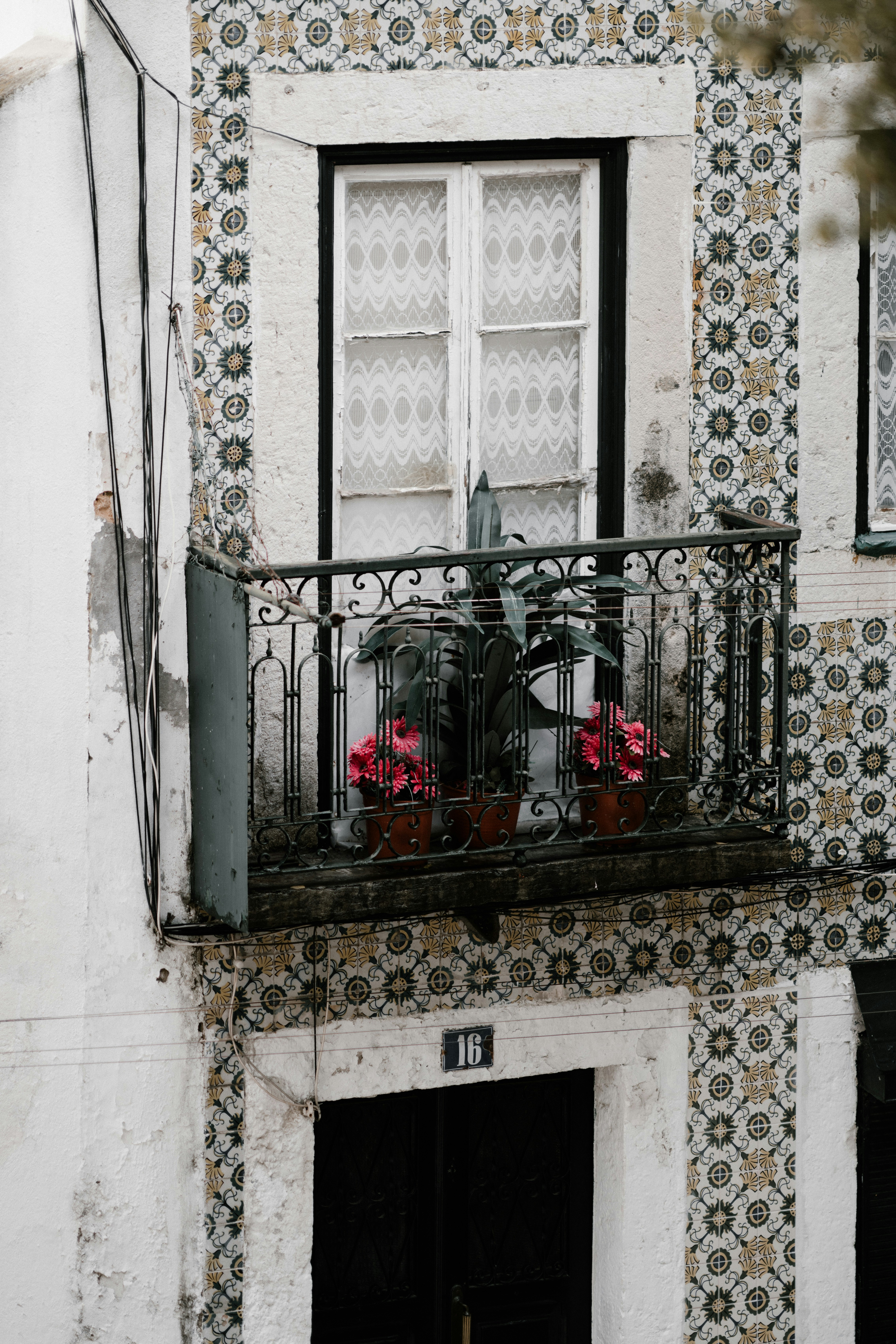 A charming balcony adorned with vibrant flowers overlooks a patterned wall, showcasing the beauty of urban living. The intricate tile design adds character to the scene.