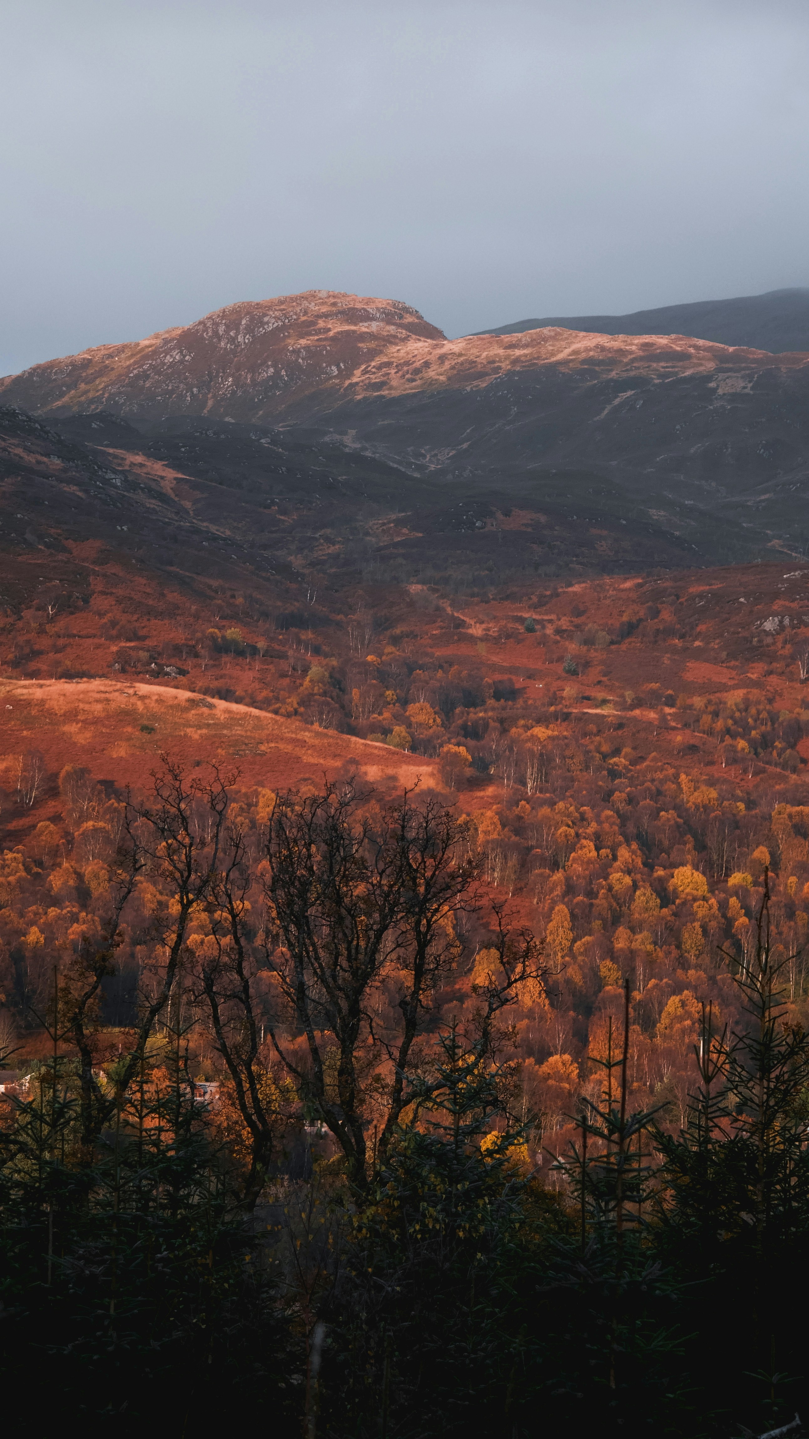 Copper Crown over Autumn Hills at Dusk