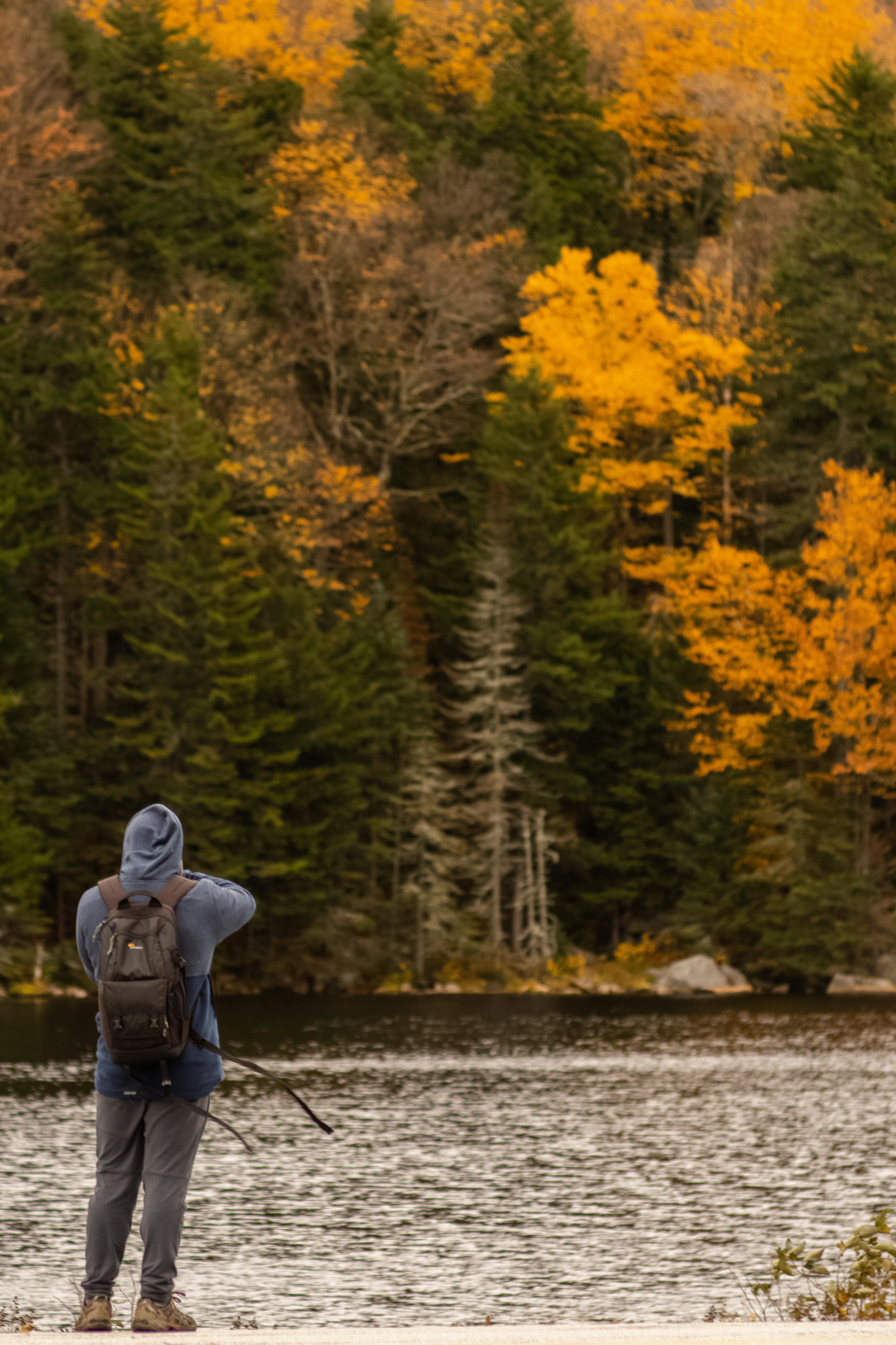 A person in a hoodie stands by a tranquil lake, surrounded by vibrant autumn foliage reflecting on the water's surface.