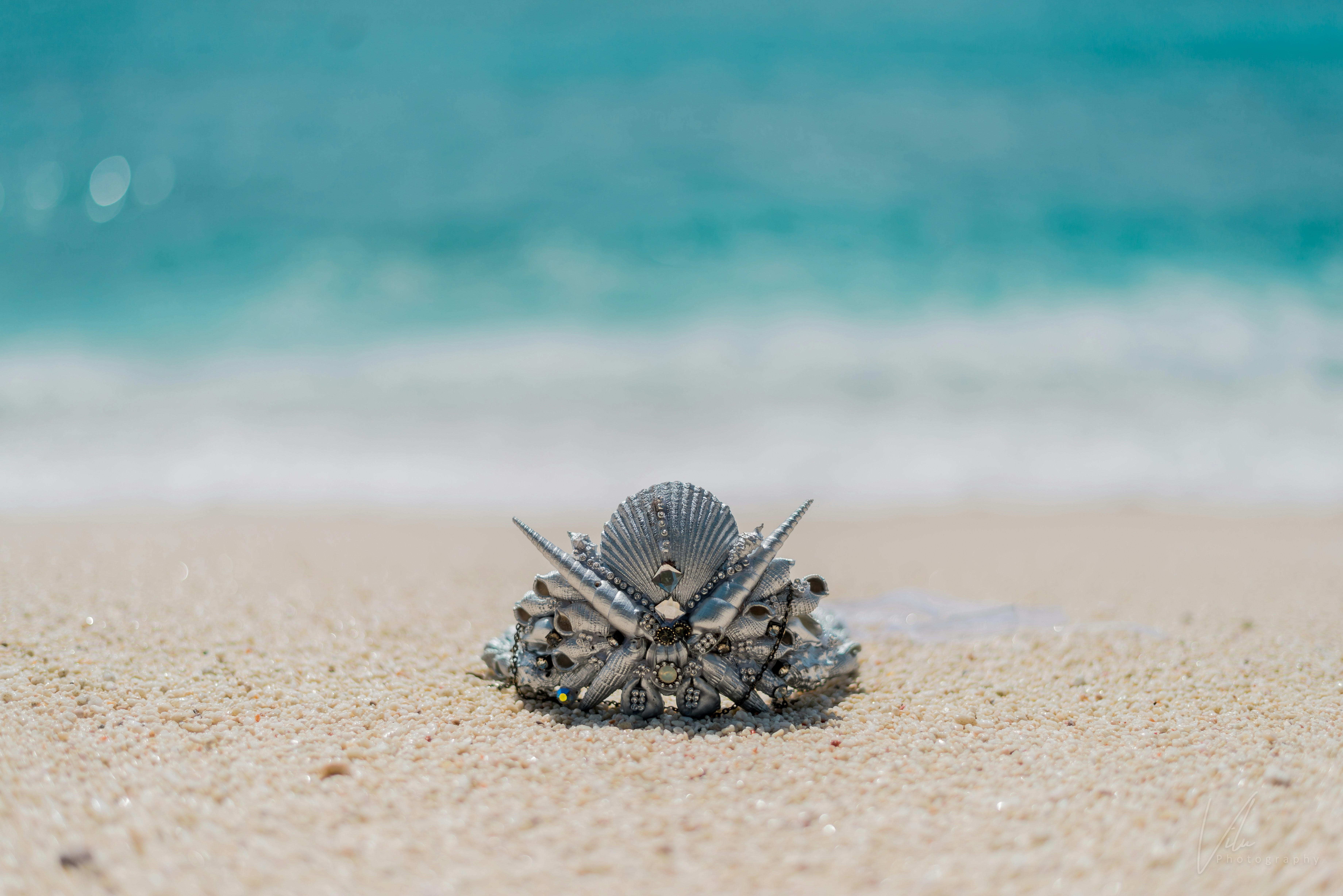 Seaside Crown: A Tiny Shell Emperor Rests on Sunlit Sand