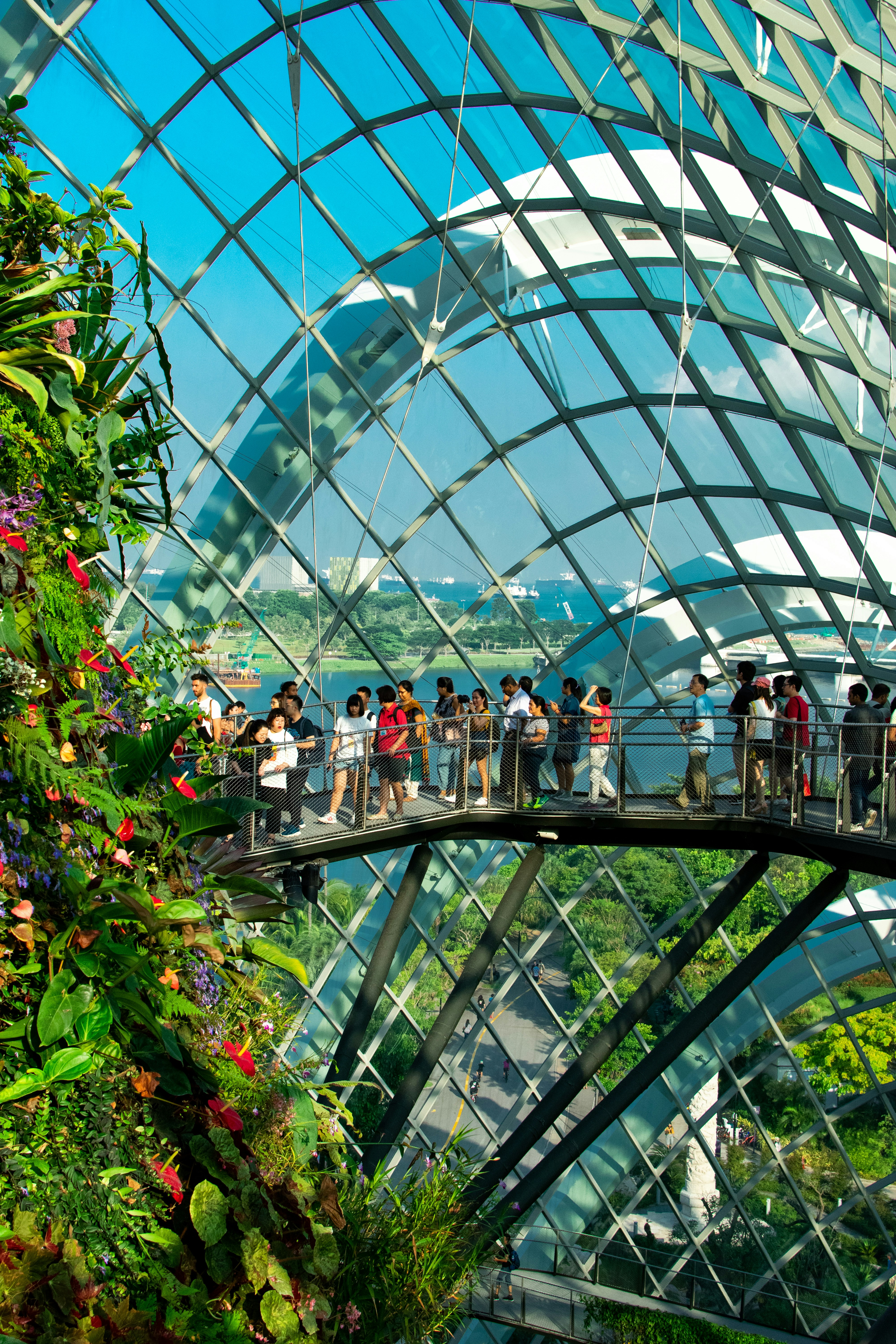 Visitors admire a lush vertical garden inside a modern glass structure, showcasing the blend of nature and innovative design.