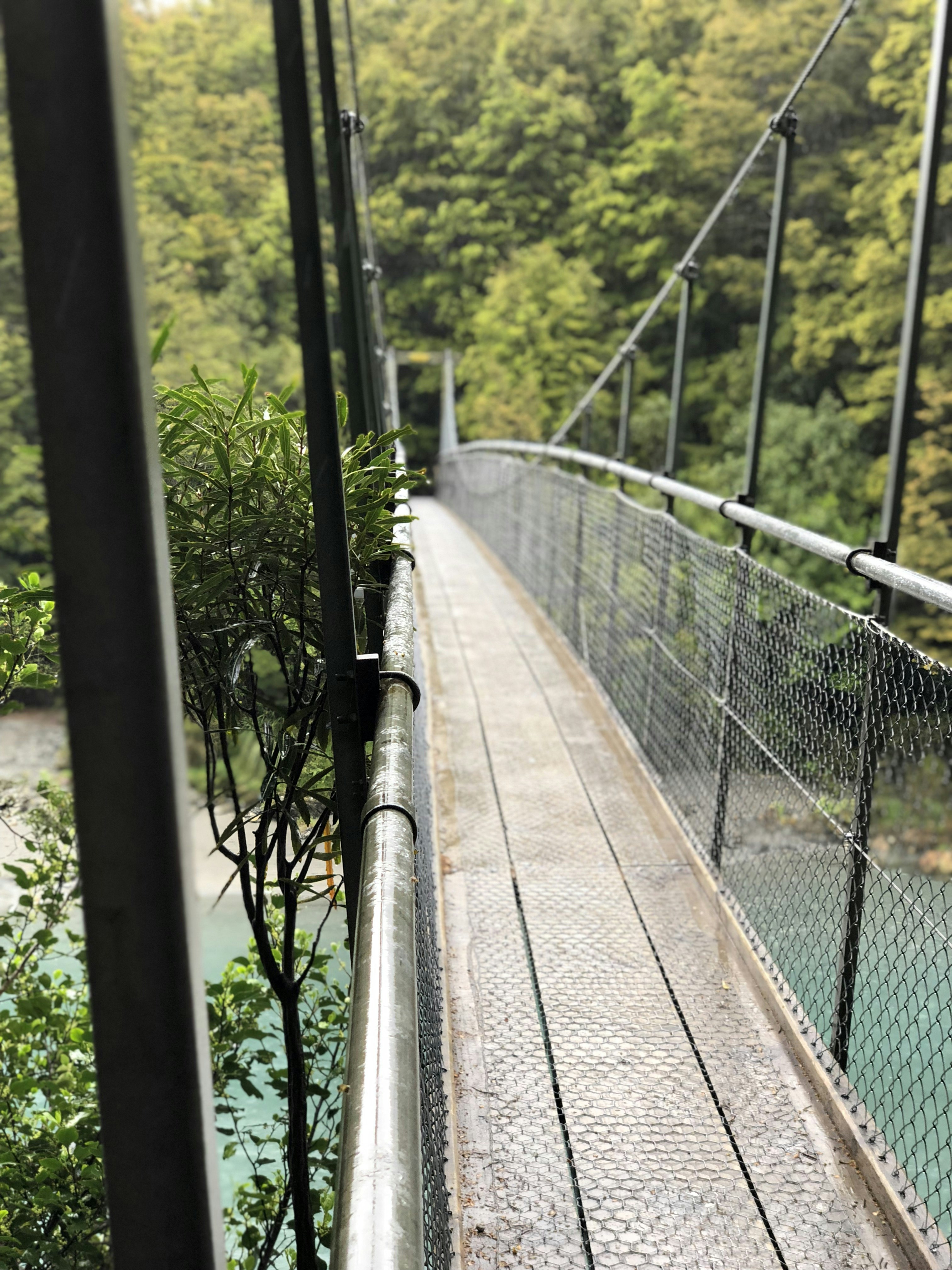 Stainless steel hanging bridge photo – Free Forest Image on Unsplash