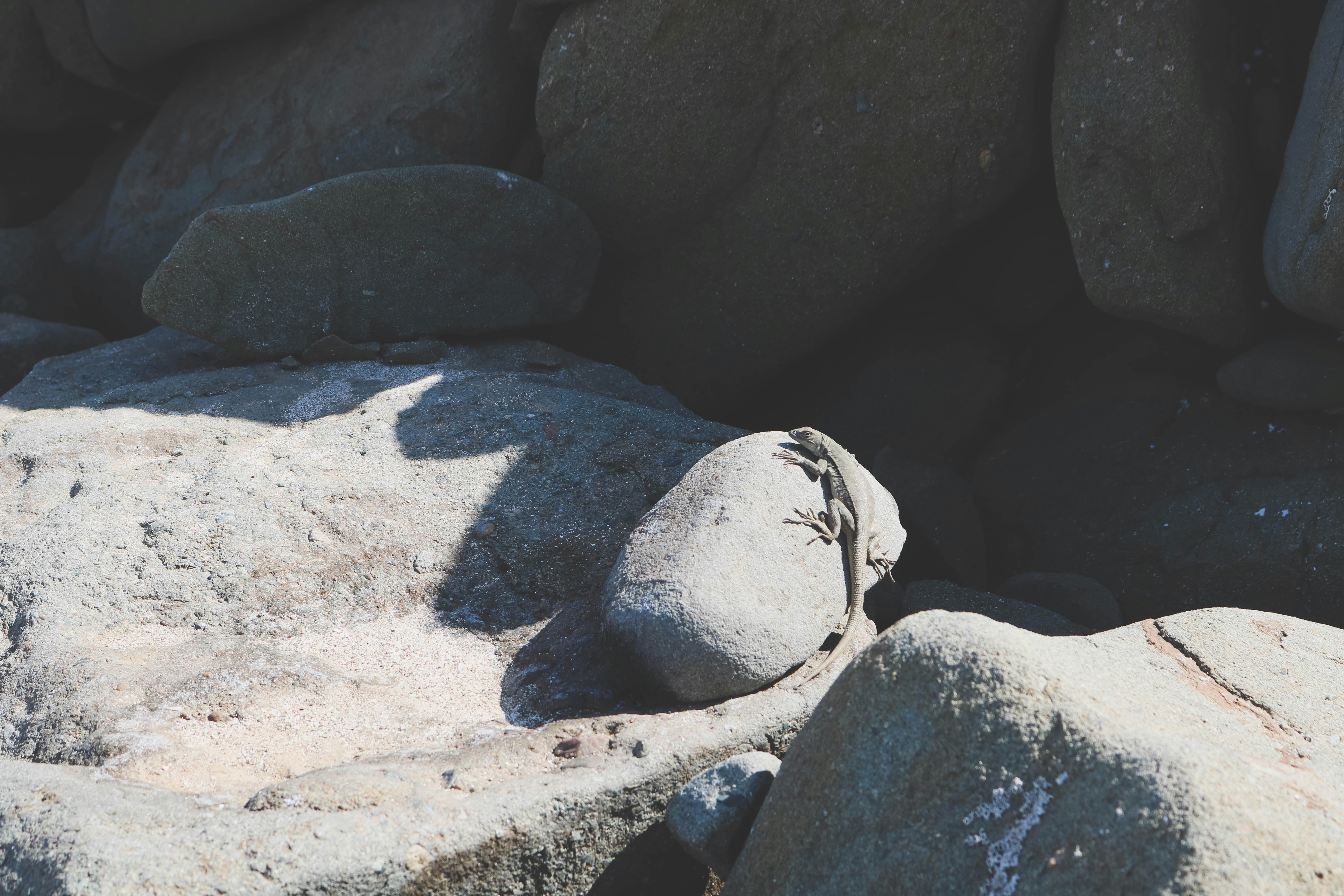 Gray rocks photo – Free Grey Image on Unsplash