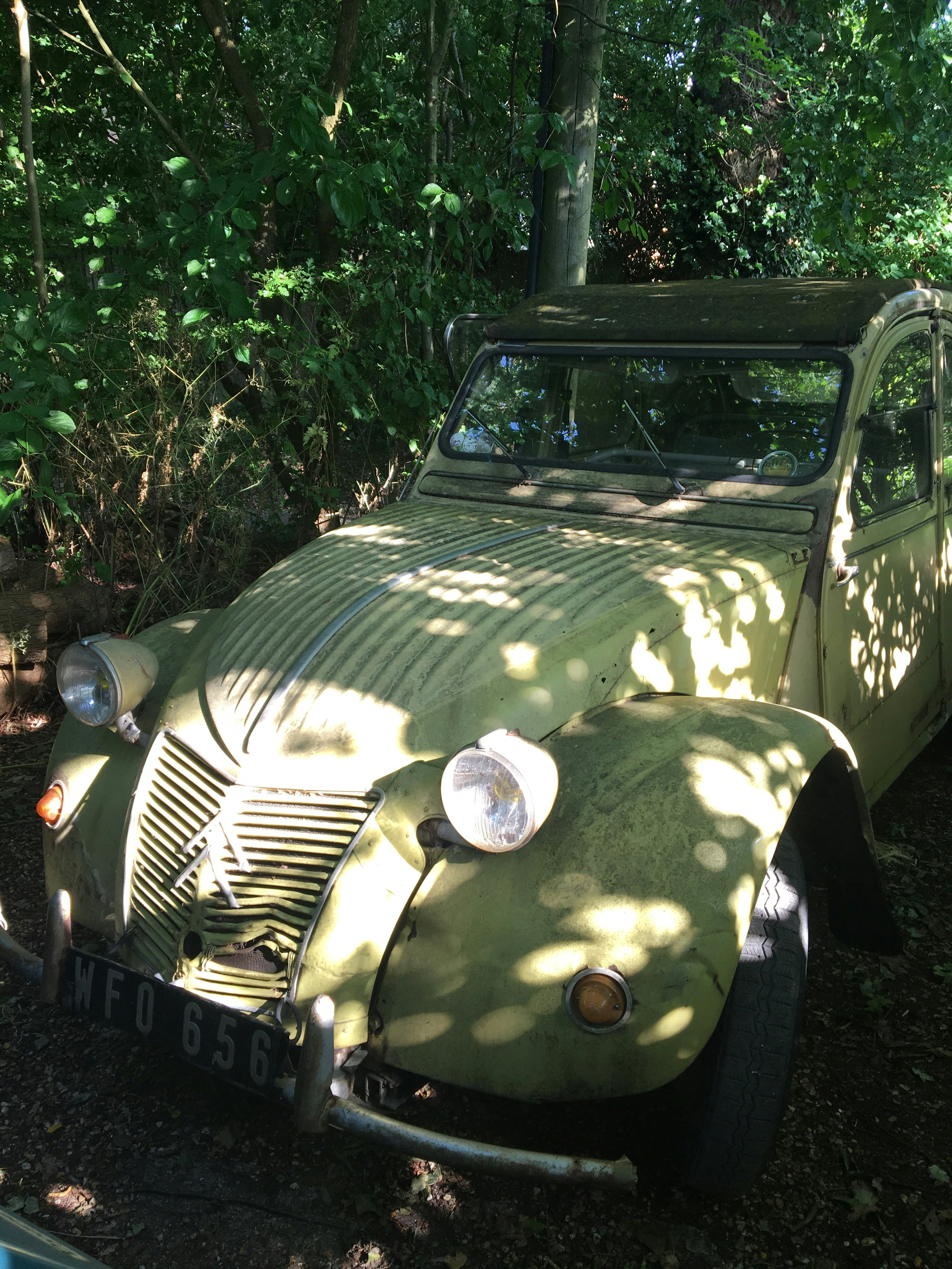 Mark Welsby (@hawkstone) | Unsplashフォトコミュニティ