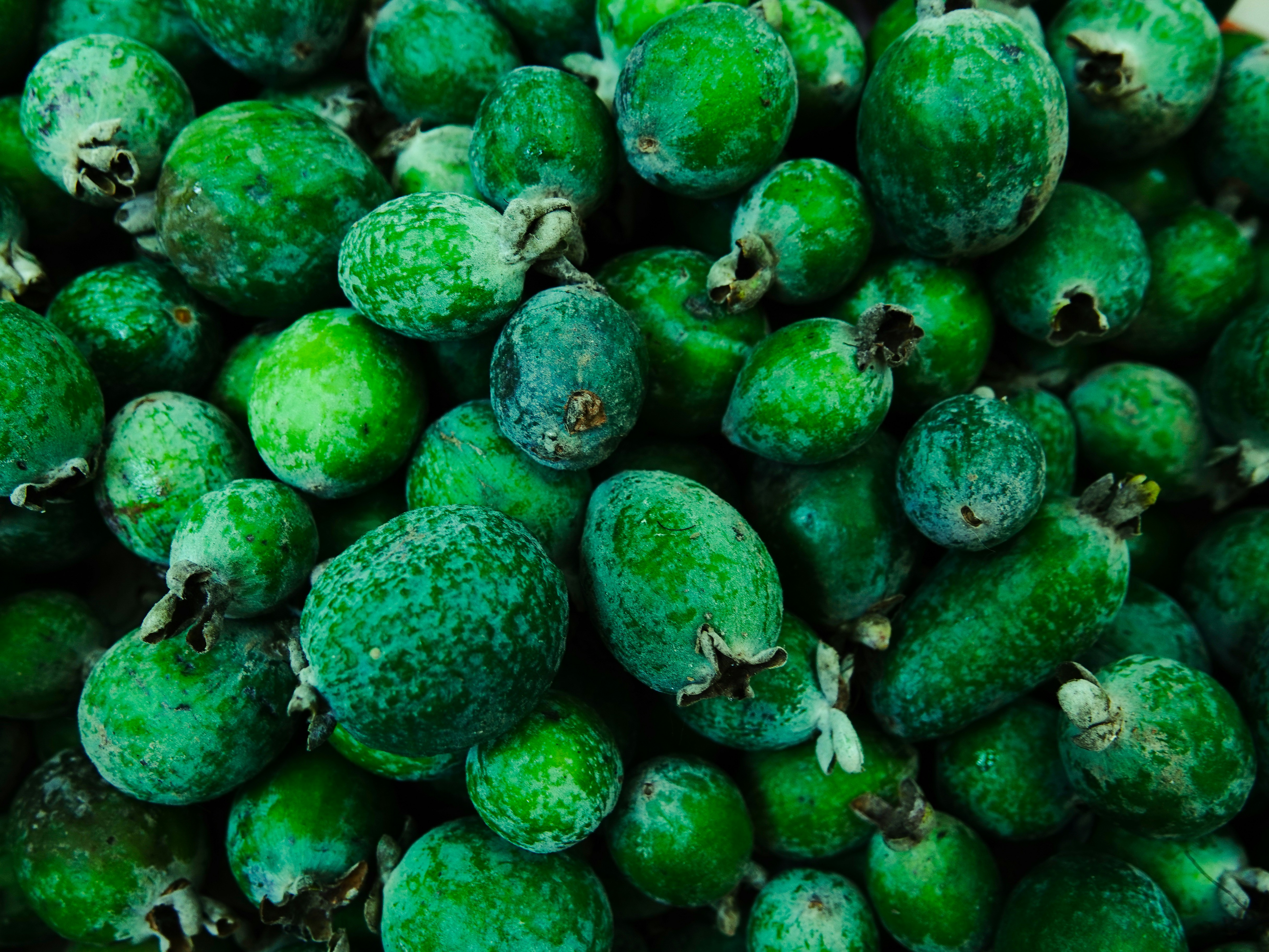 green round fruits lot
