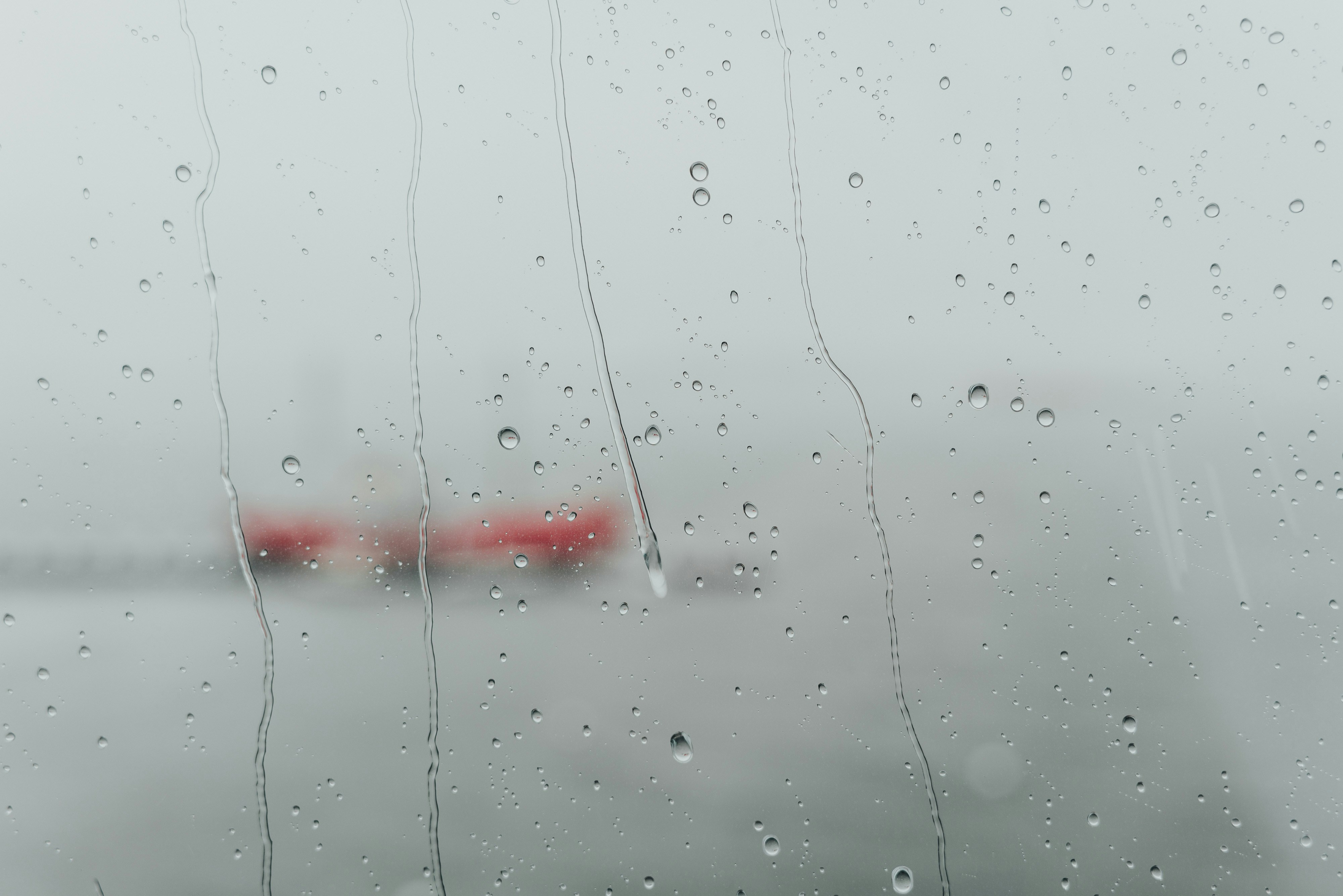 Drizzle Pictures | Download Free Images on Unsplash