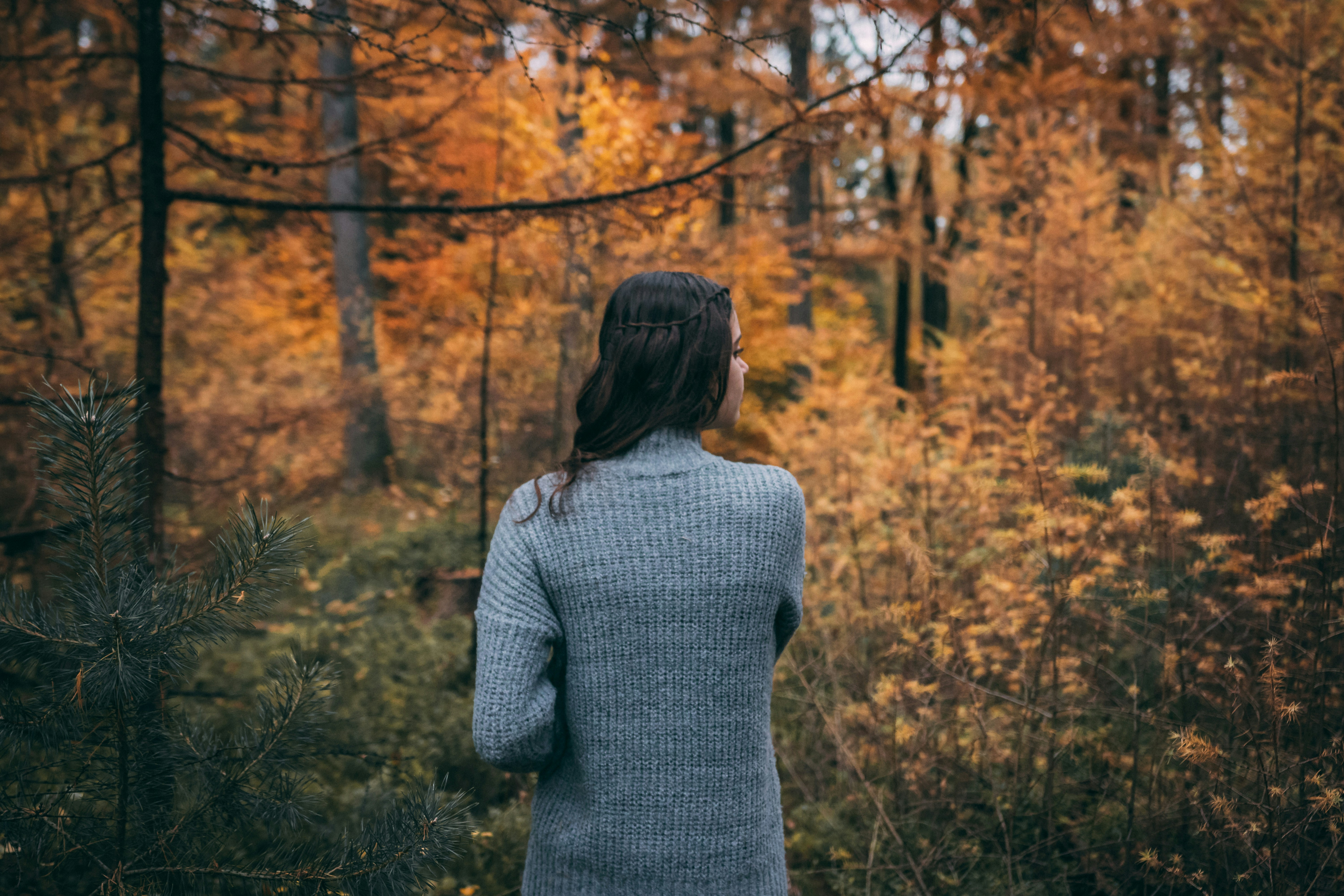 Person in a gray sweater standing amidst vibrant autumn foliage in a forest.