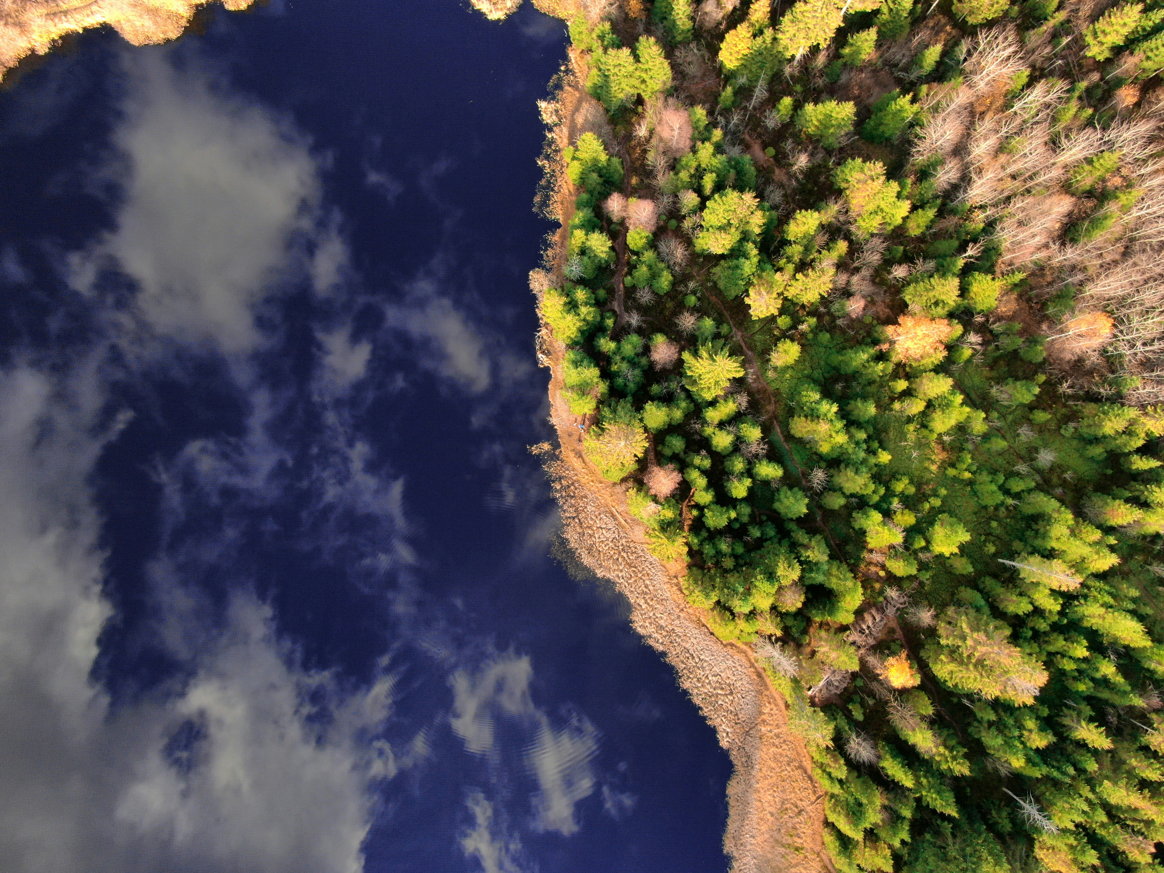 High Angle Nature Photography