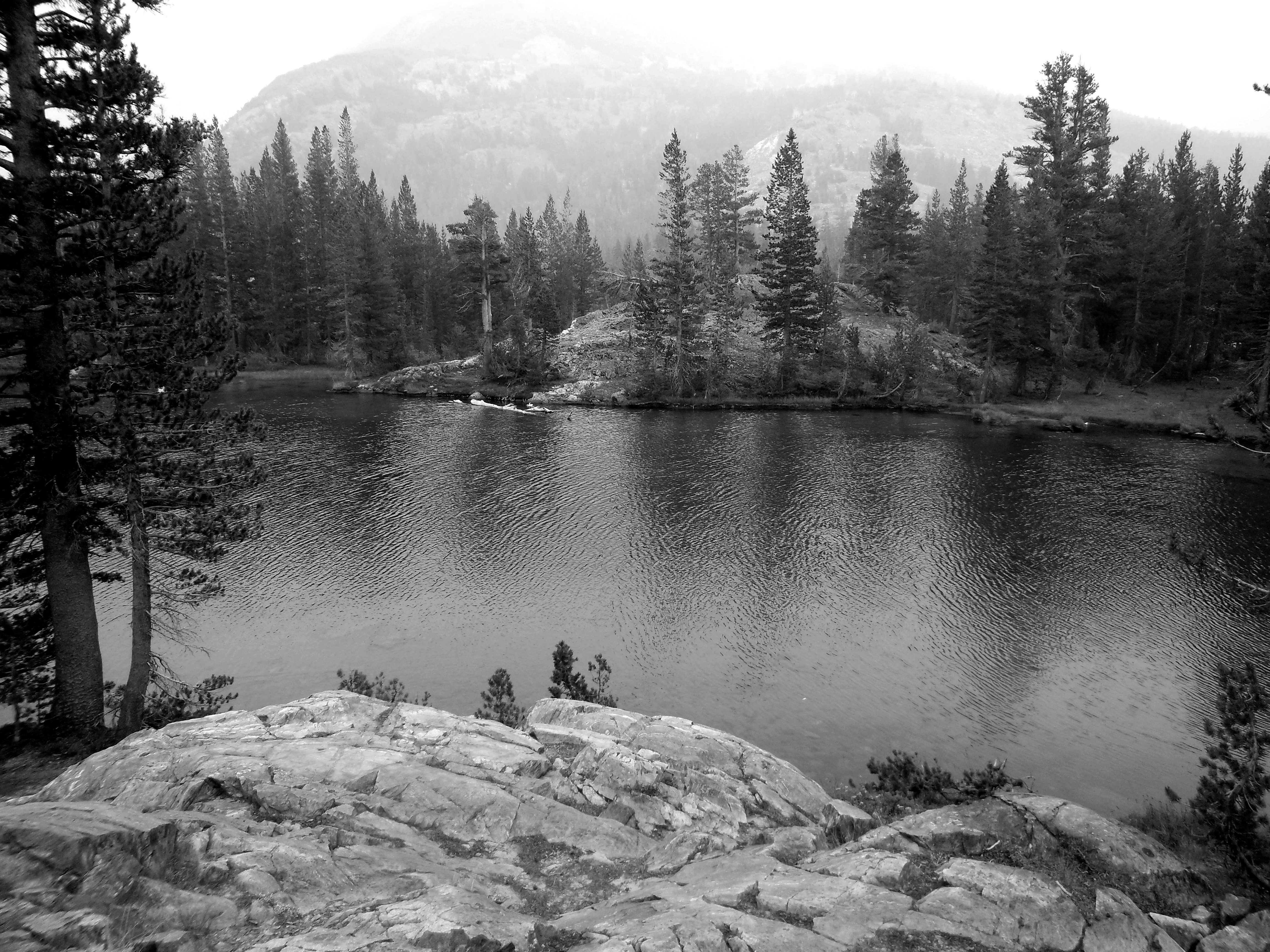 Tranquil mountain lake surrounded by dense pine forest under a misty sky.