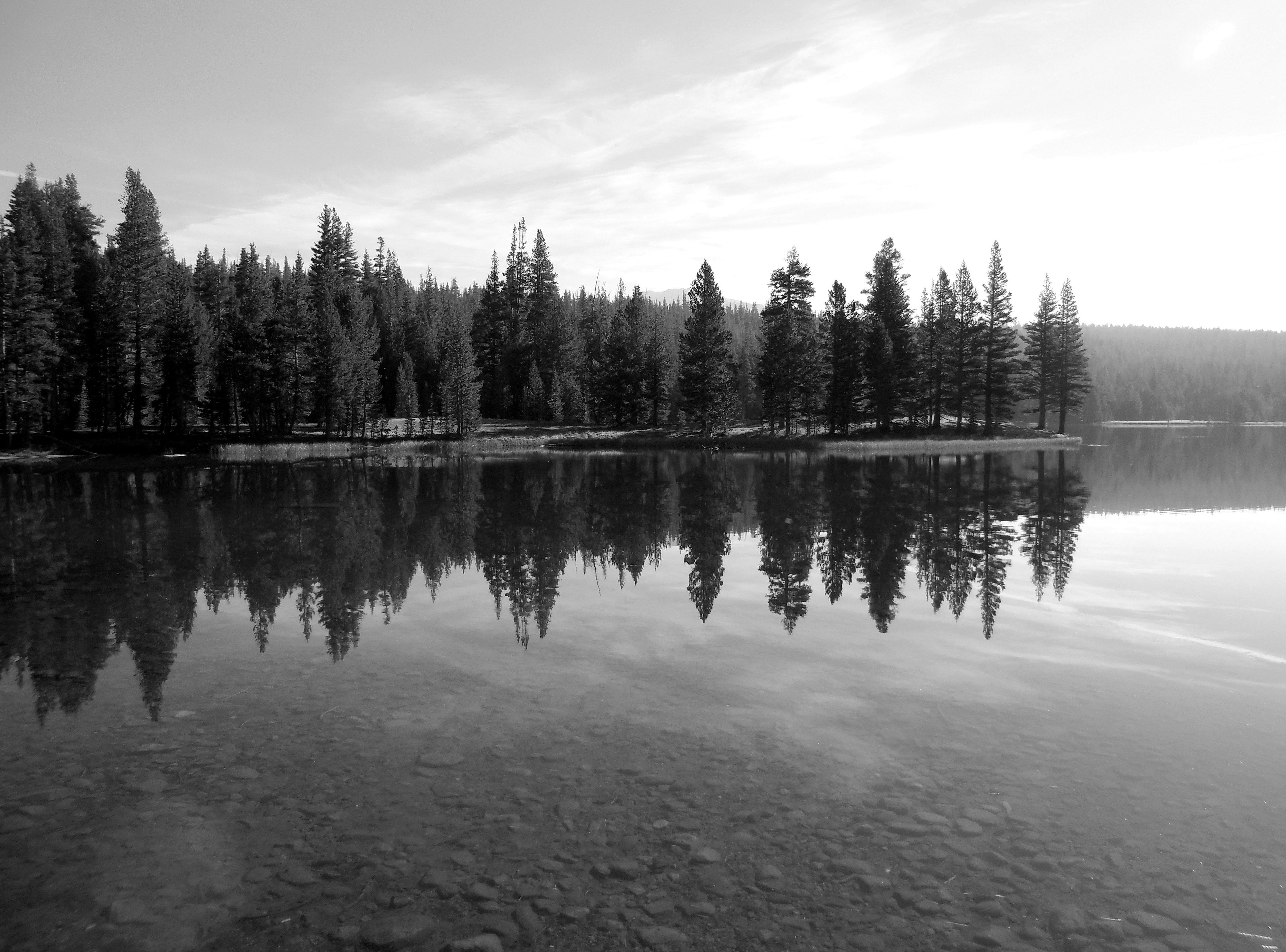 Reflection of a tree-lined shore on the calm waters of Dog Lake under a bright sky.