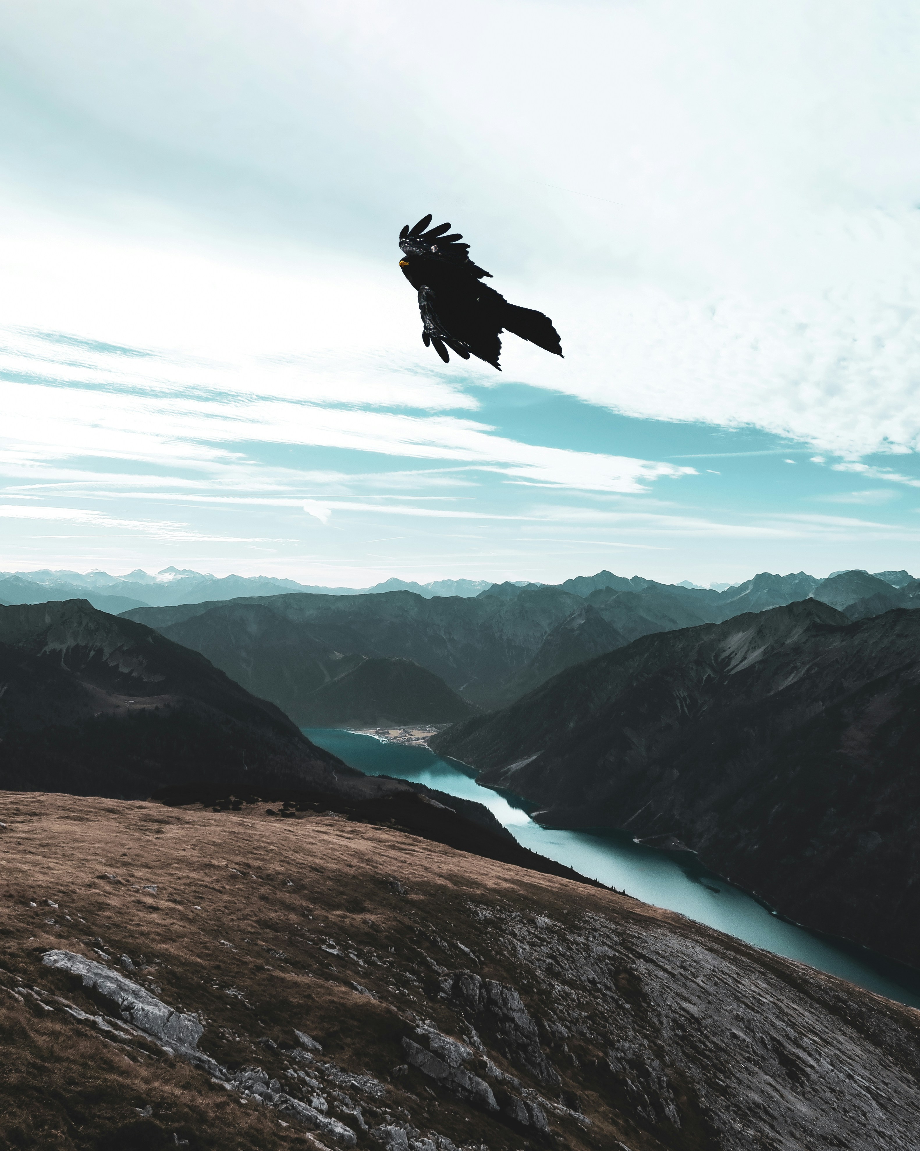 Bird gliding above a mountainous landscape with a river winding through the valley under a cloudy sky.