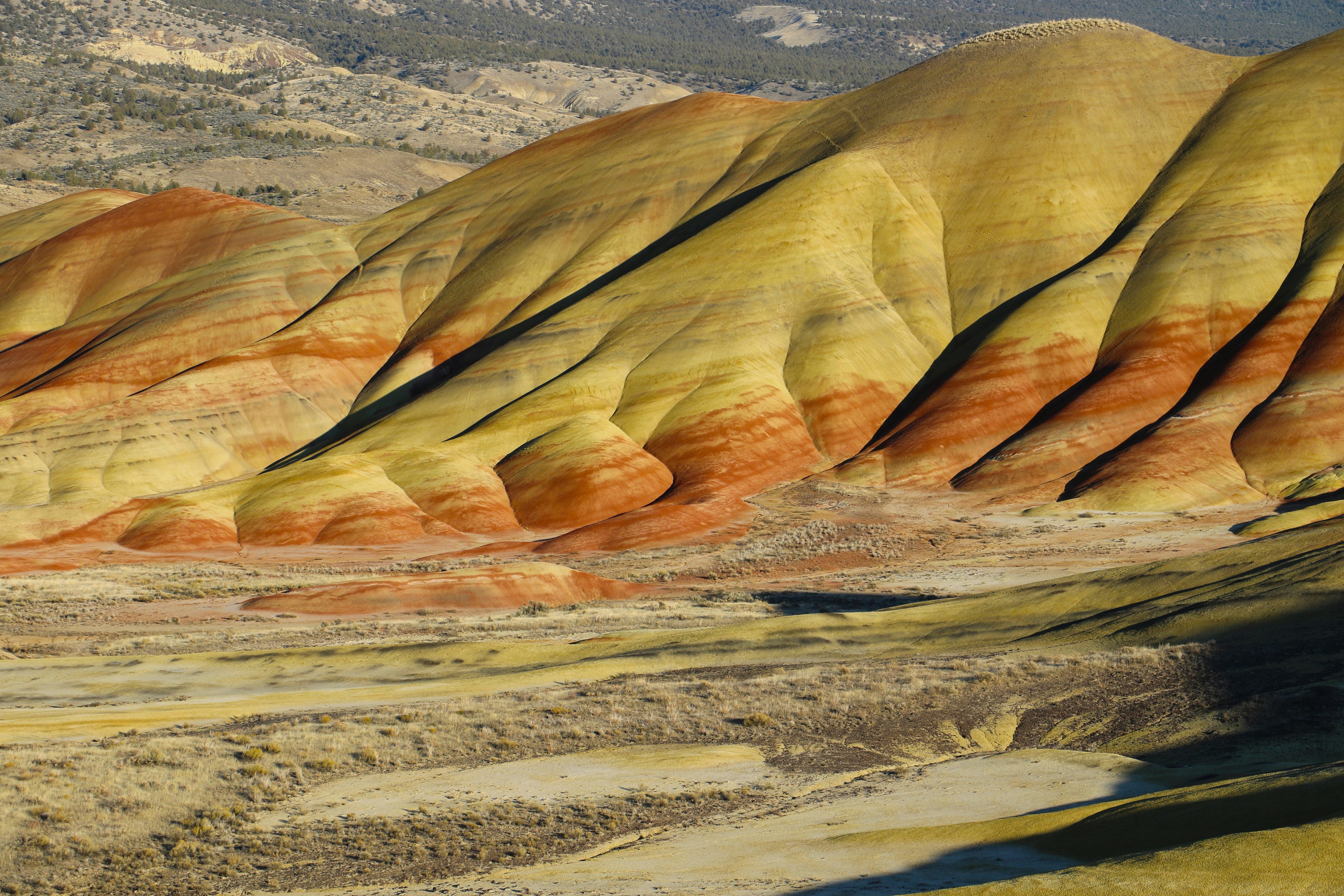 Vibrant Earth: The Painted Hills