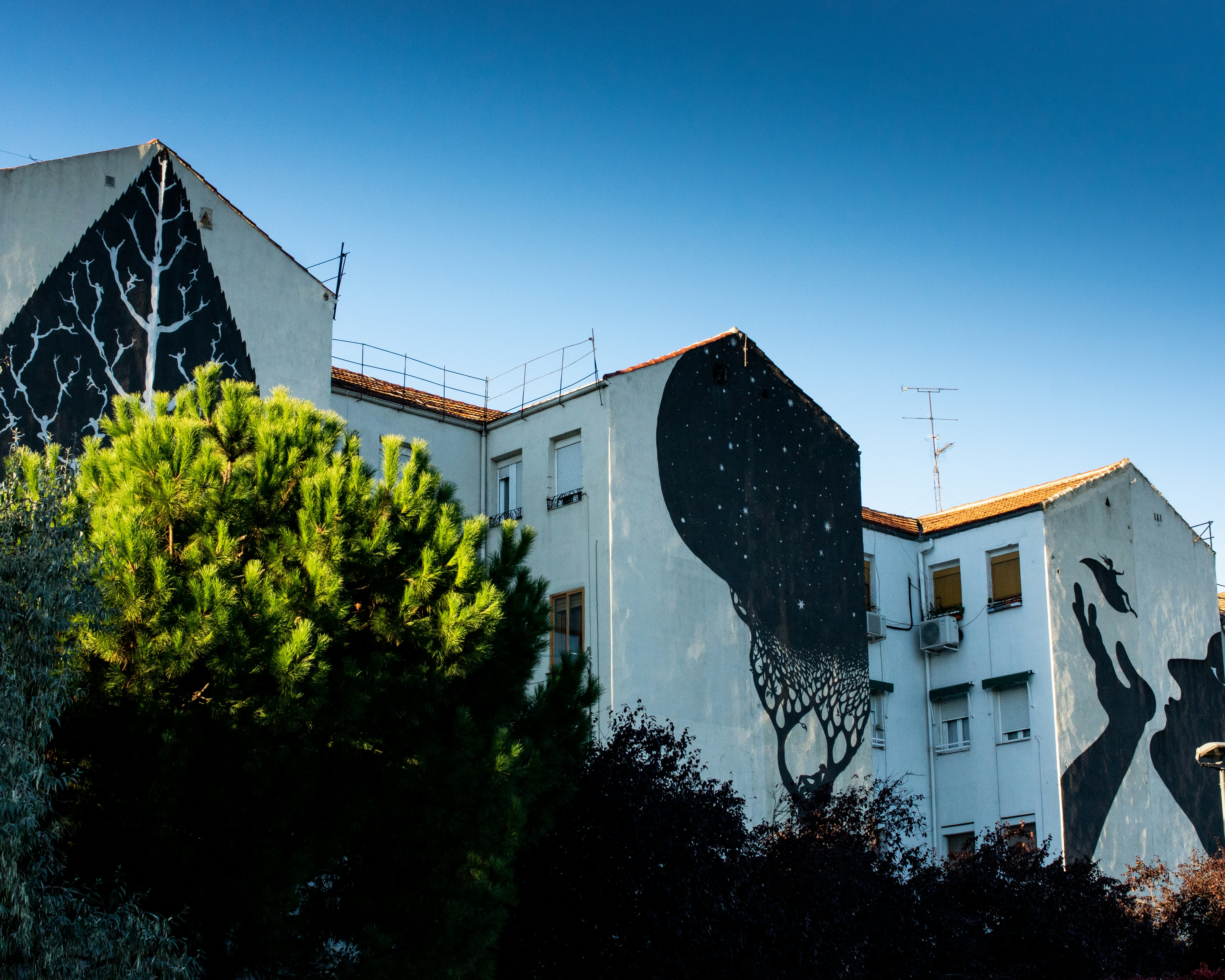 Canvassed Canopies: Tree Murals on White Facades Beneath a Clear Blue Sky